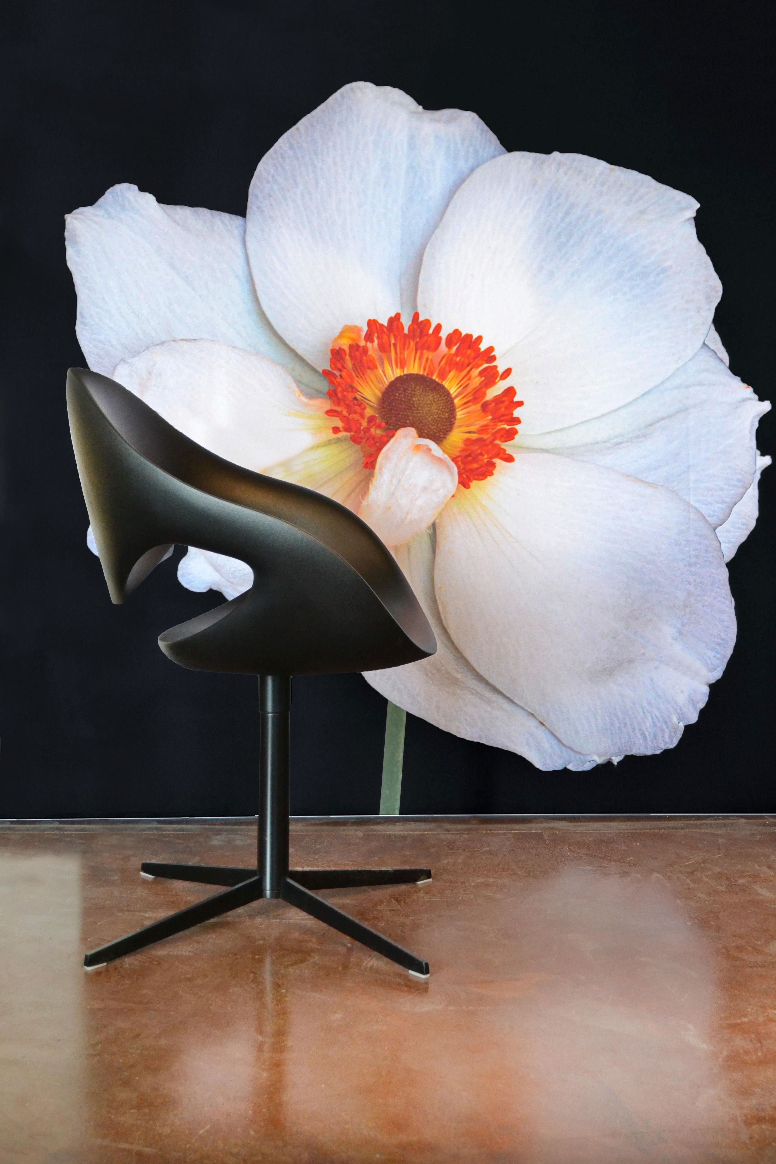 Moon Integral polyurethane foam chair with wooden base By Tonon ...