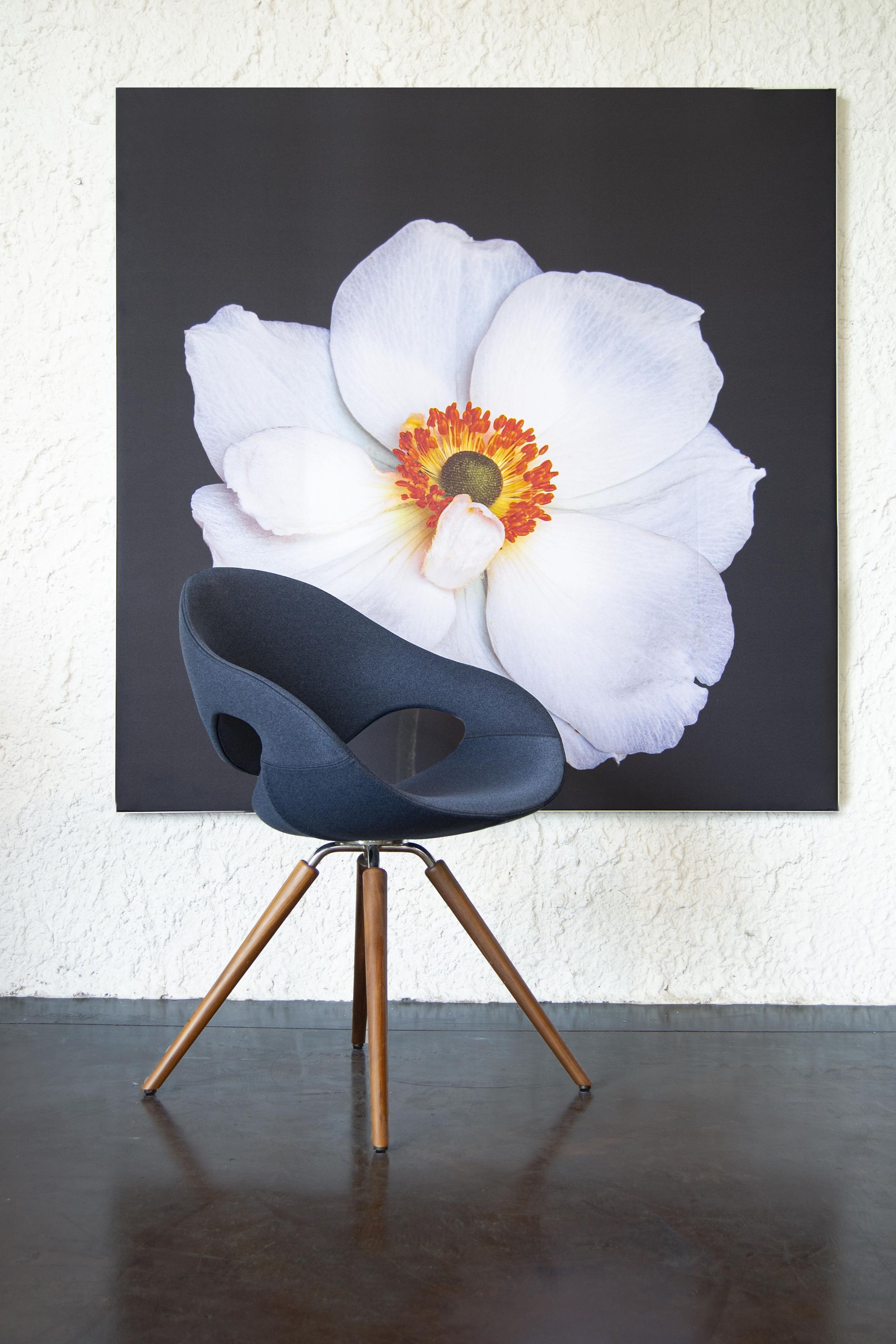 MOON | Integral polyurethane foam chair Moon Collection By Tonon design ...