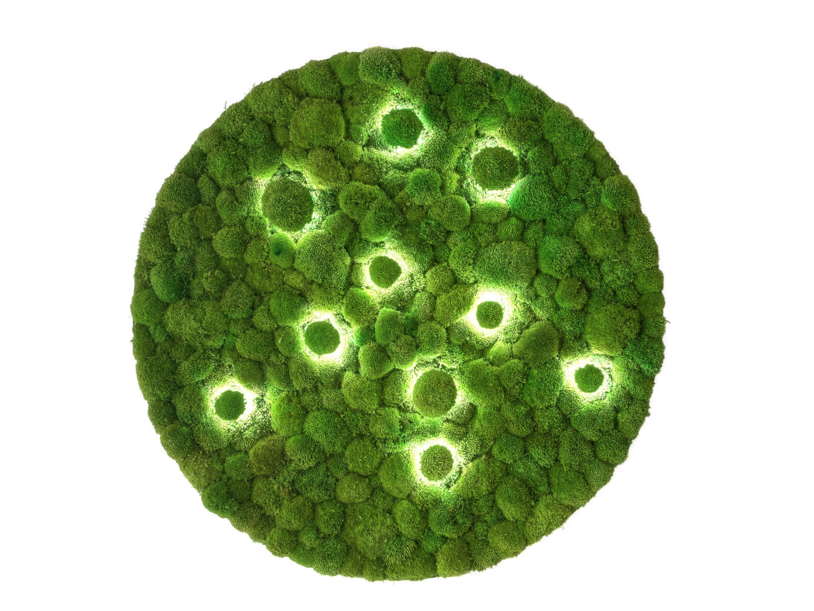 Cushio moss wall lamp / ceiling lamp MOOSALISA By Freund GmbH