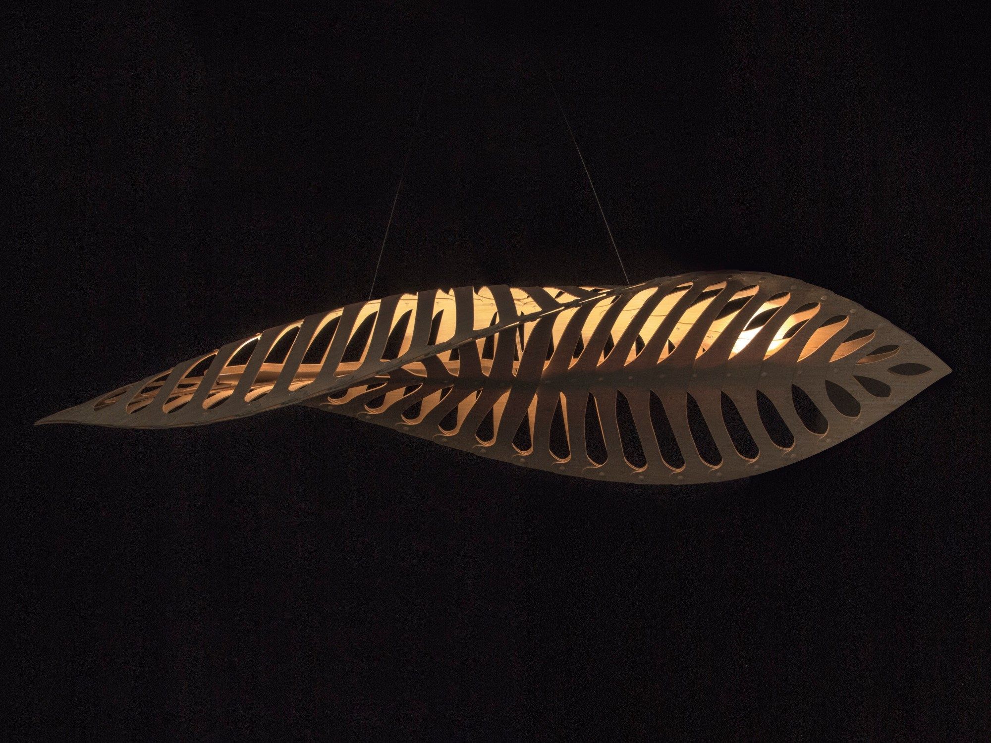 NAVICULA Suspension By David Trubridge