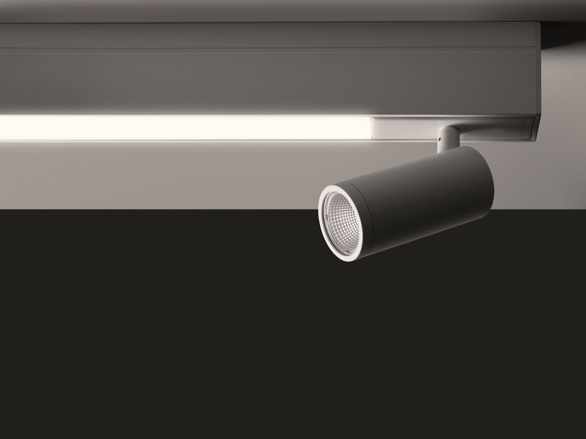 NEWTON RAIL Track-Light By EGOLUCE