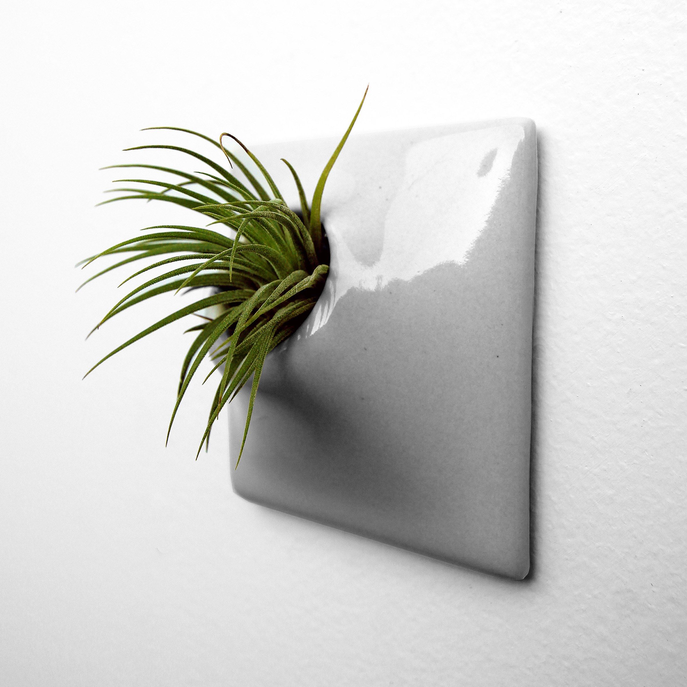 Modular ceramic wall planter NODE XS By Pandemic Design Studio design ...