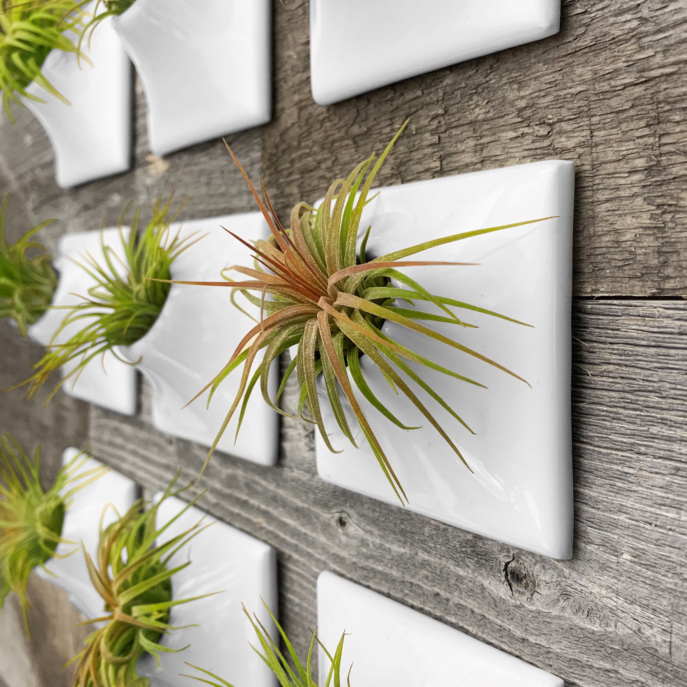 Modular ceramic wall planter NODE XS By Pandemic Design Studio design ...
