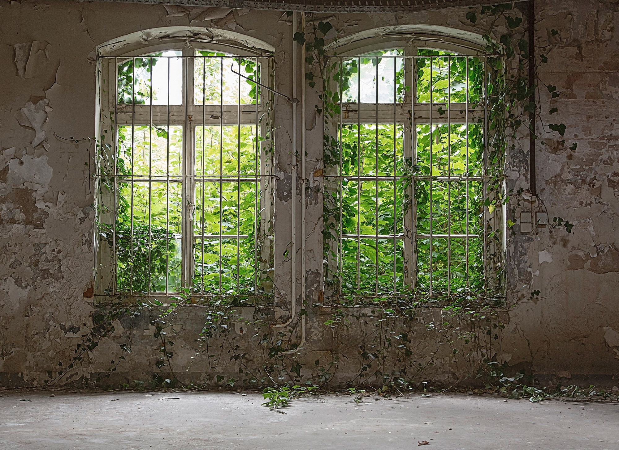 Nonwoven wallpaper OLD WINDOW Designwalls Collection By Architects Paper