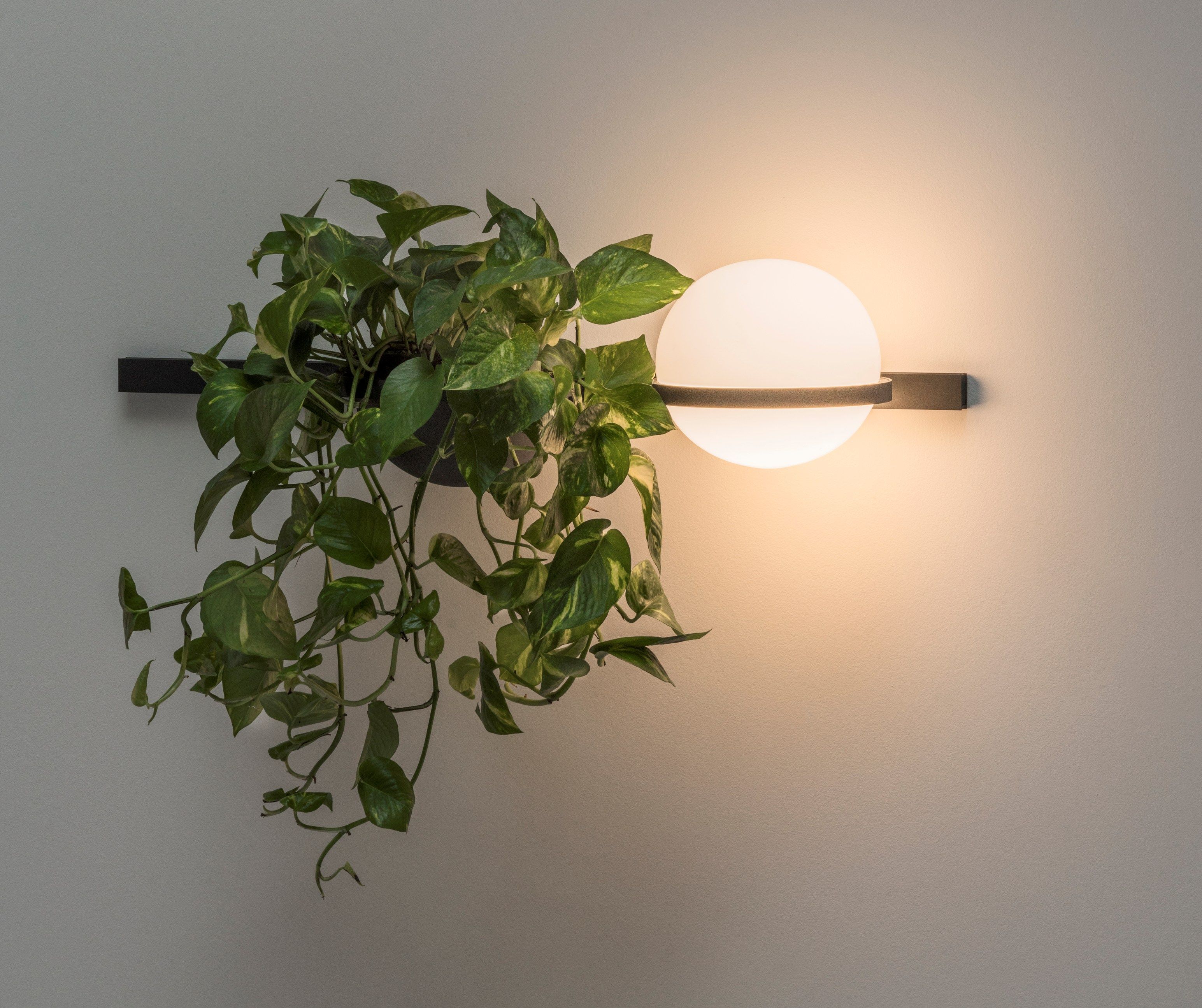 PALMA LED blown glass wall lamp By Vibia | design Antoni Arola