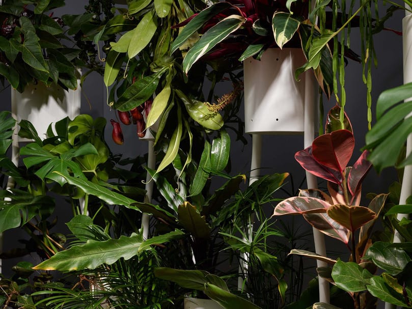 PARA VERT Free standing room divider By Brunner | design Ippolito ...