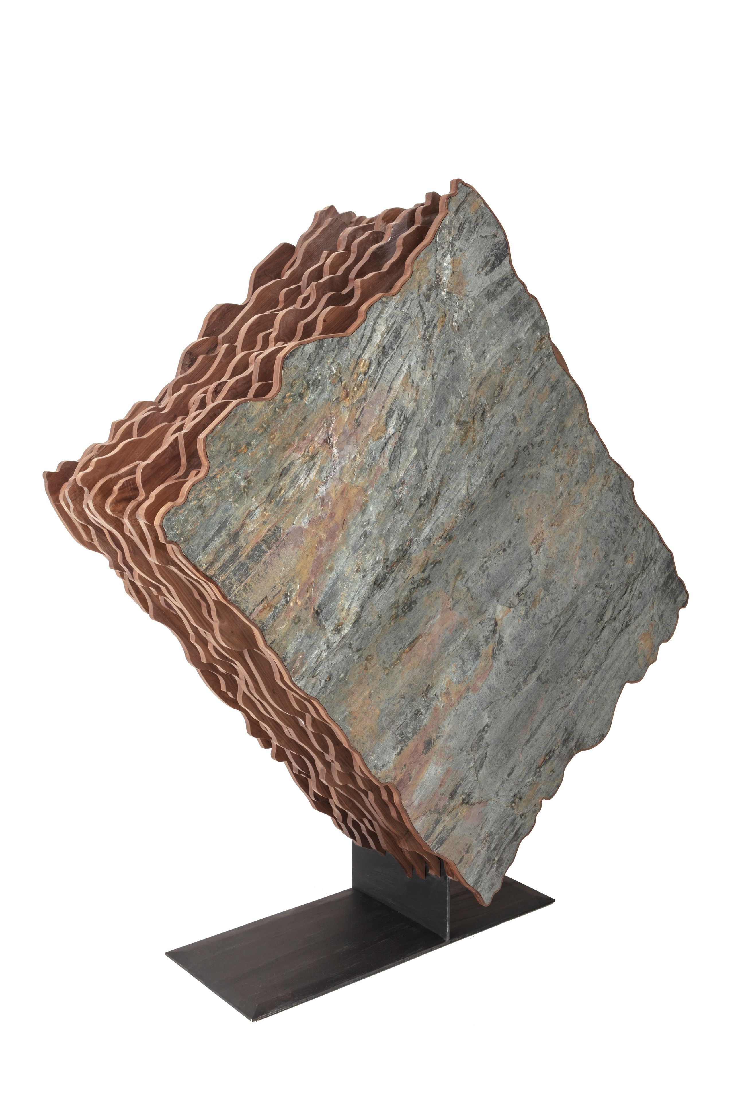 PIETER BOTH By Cypraea 设计师Francesco Maria Messina