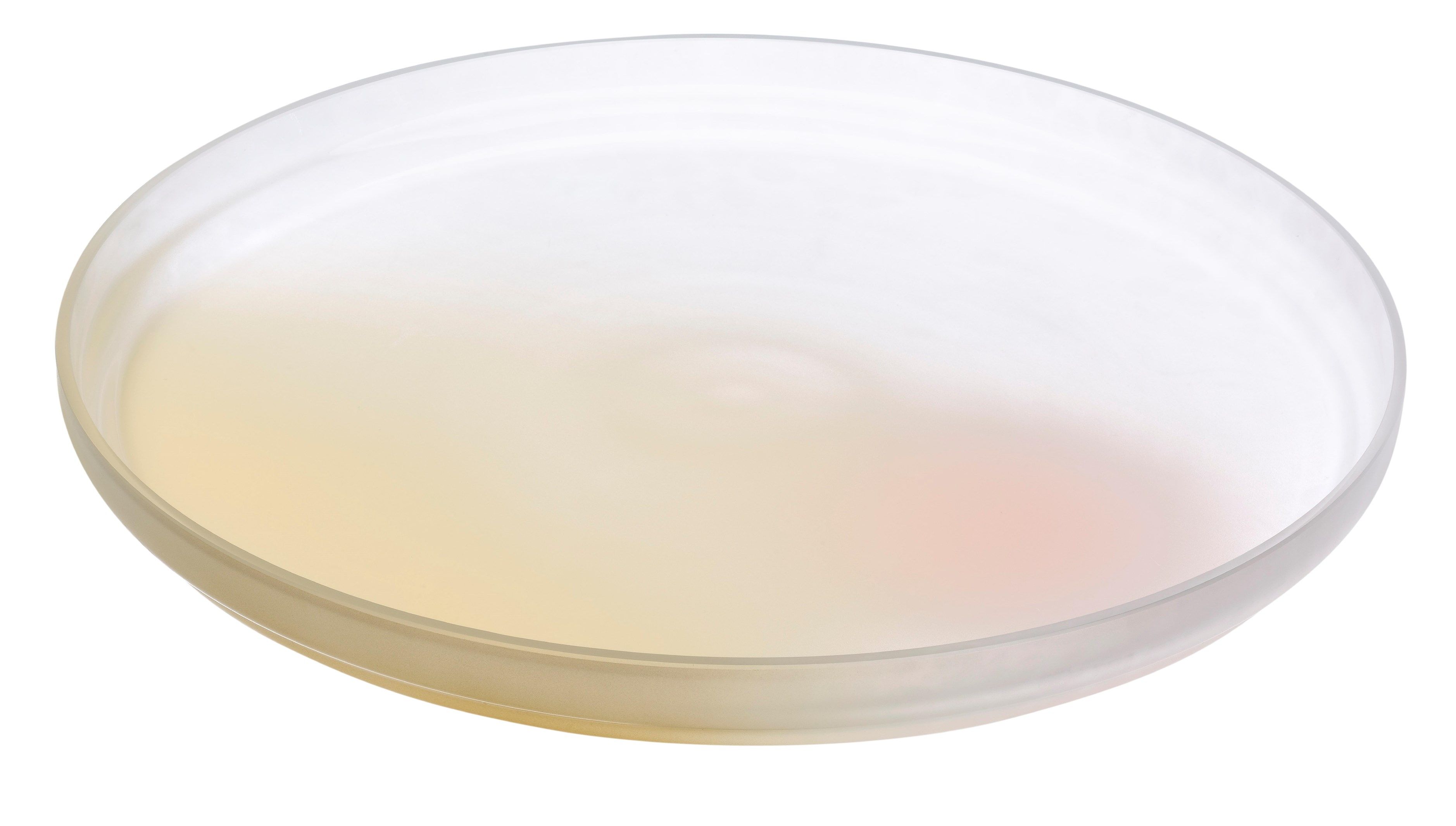 PIGMENTO 35cm Plate By NUDE