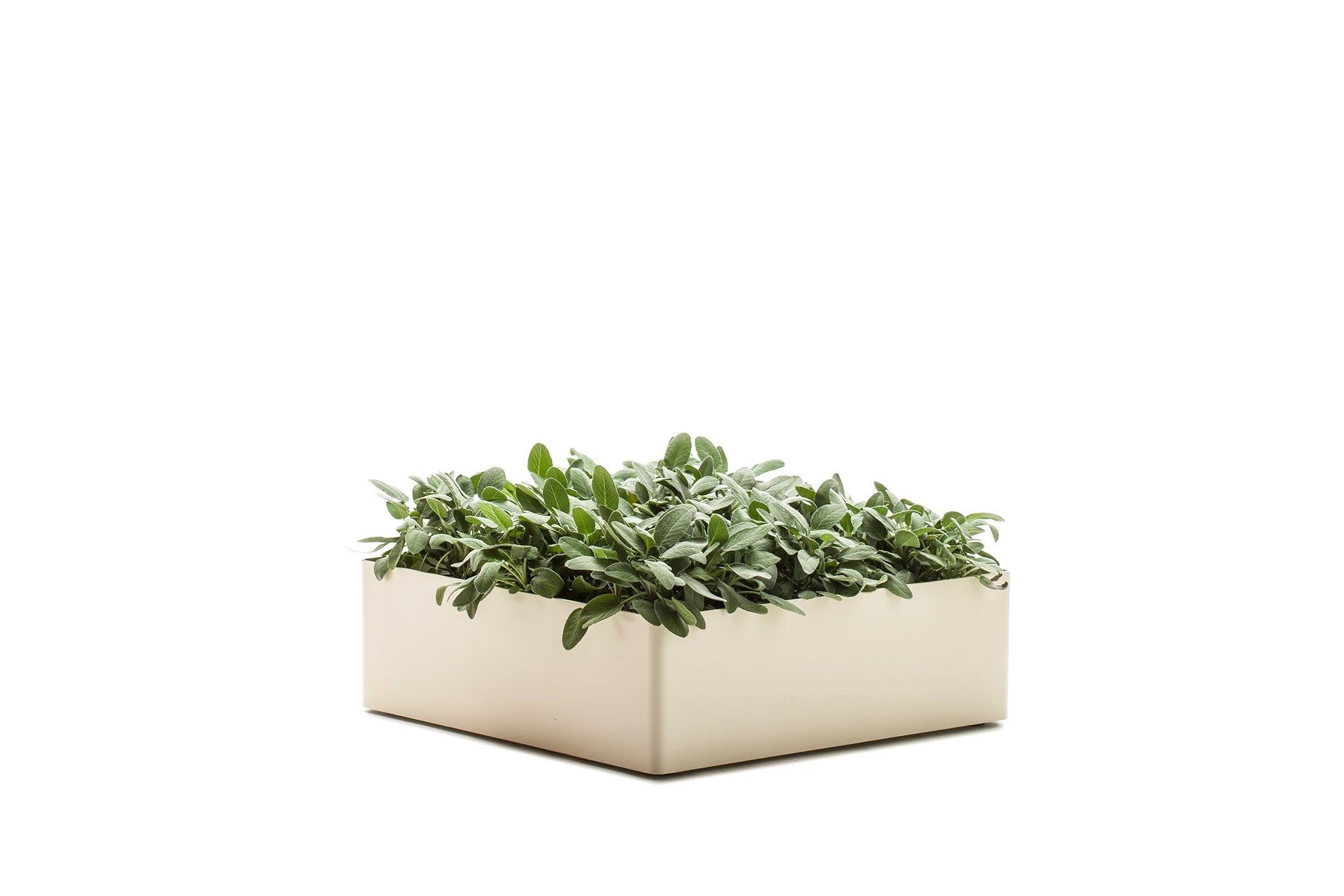 Stainless steel planter RADIUS By BLOSS