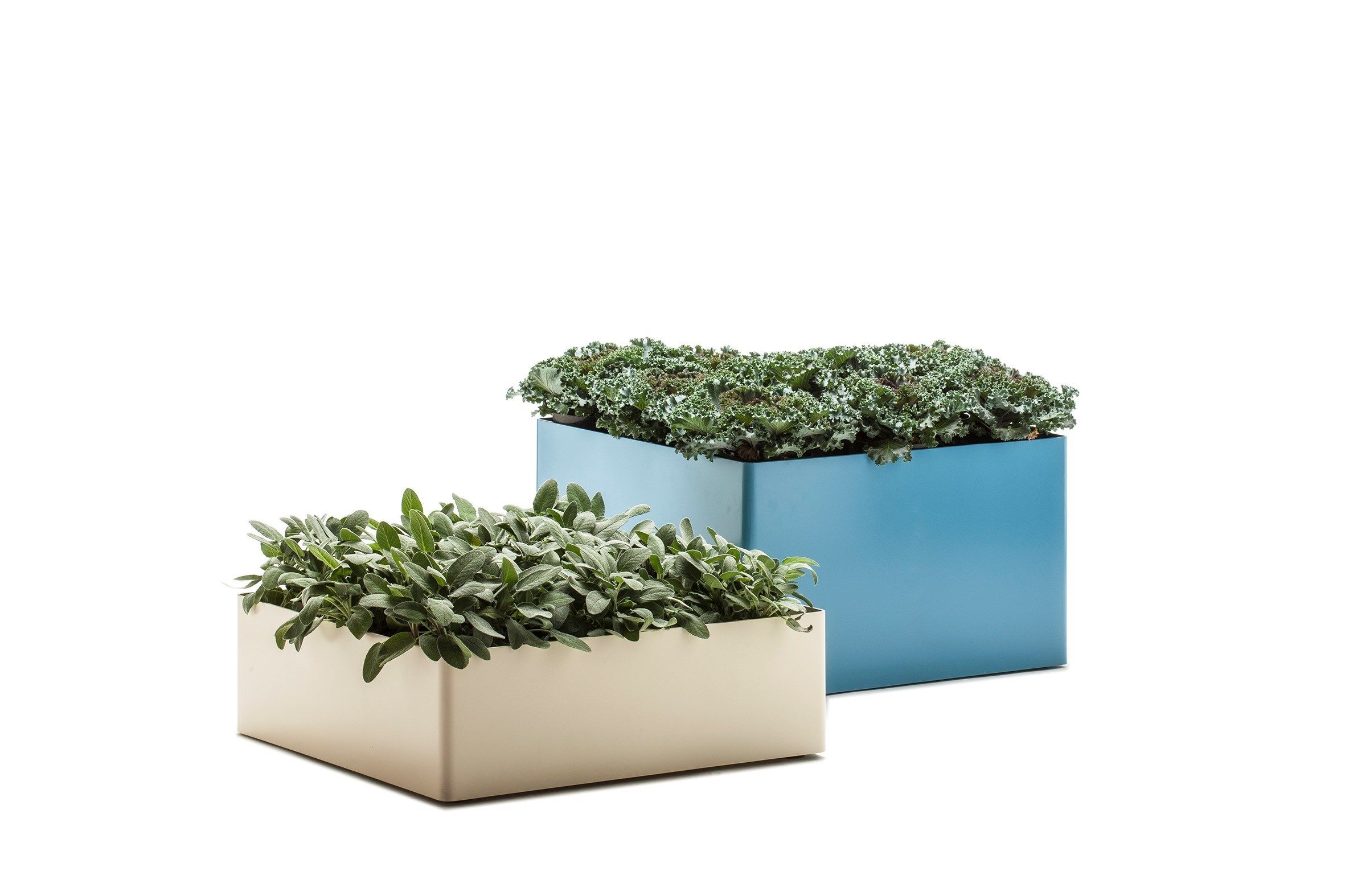 Stainless steel planter RADIUS By BLOSS