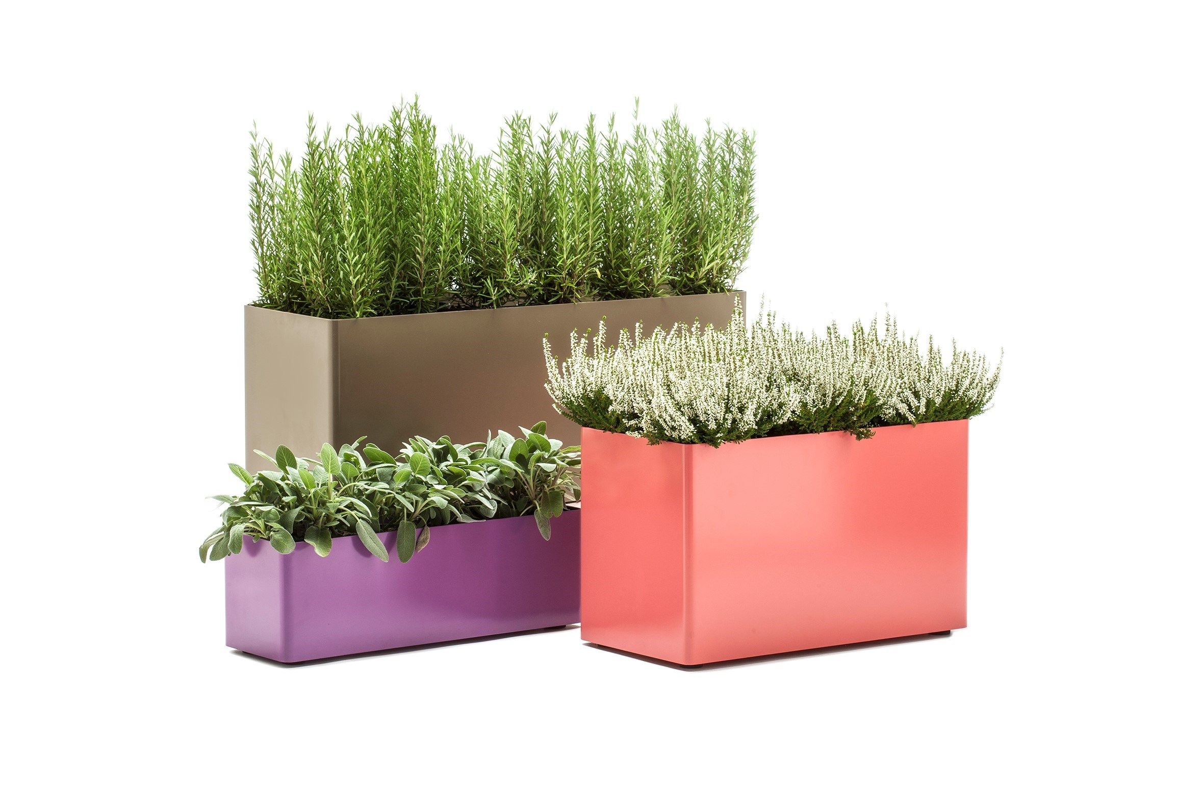 Stainless steel planter RADIUS By BLOSS