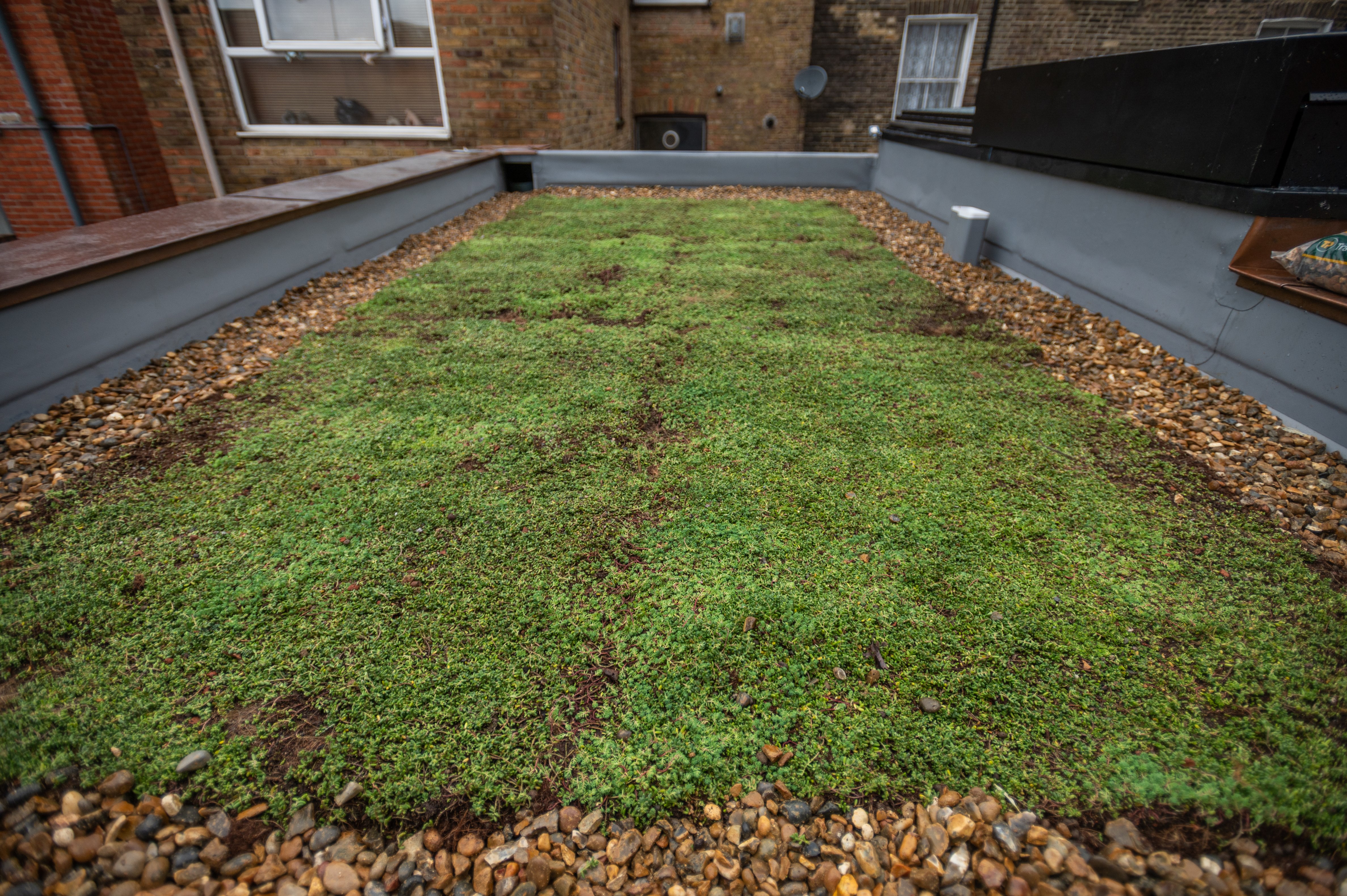 RENOLIT ALKORPLAN Green Roof garden system By RENOLIT ALKORPLAN
