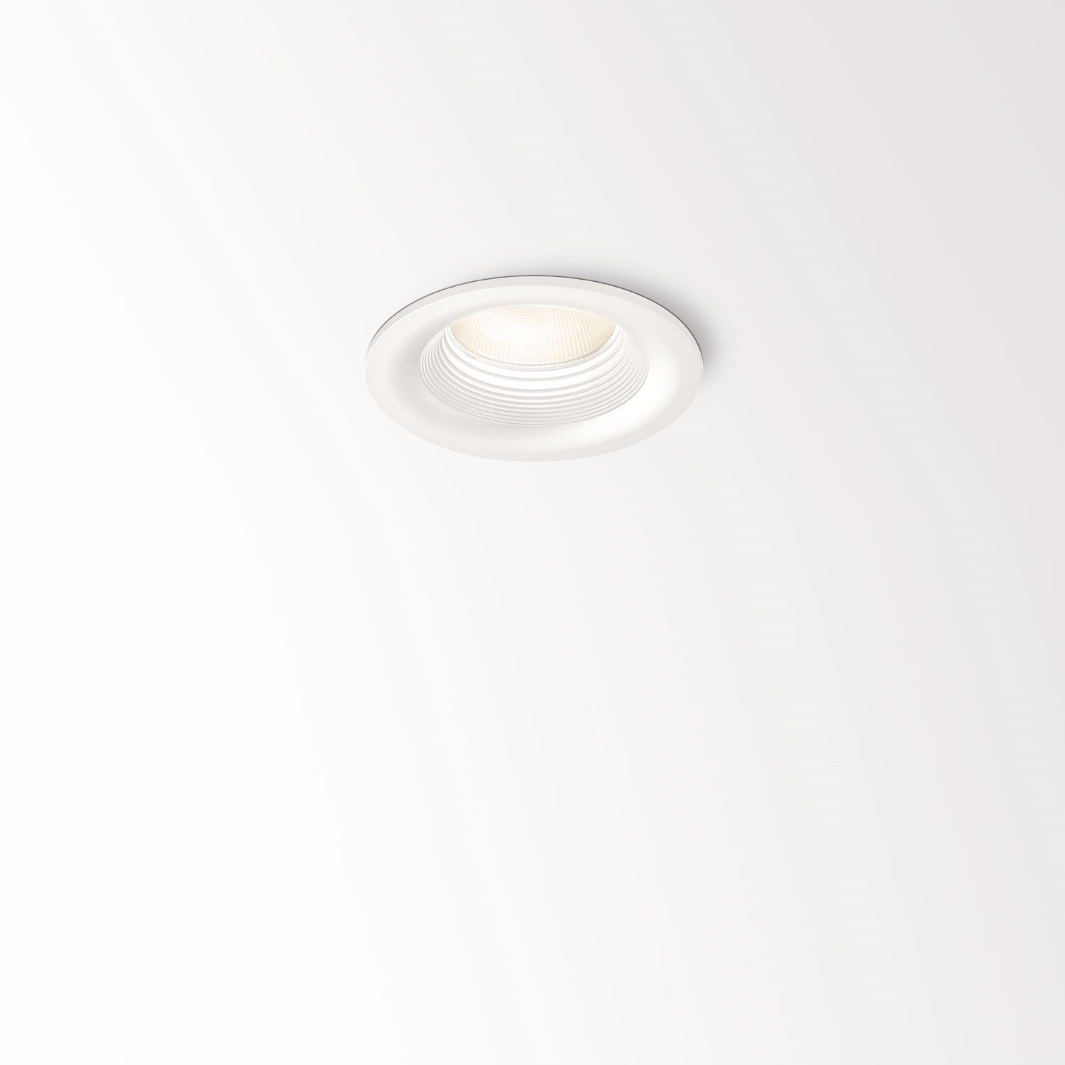 REO RIBS IP Foco By Delta Light