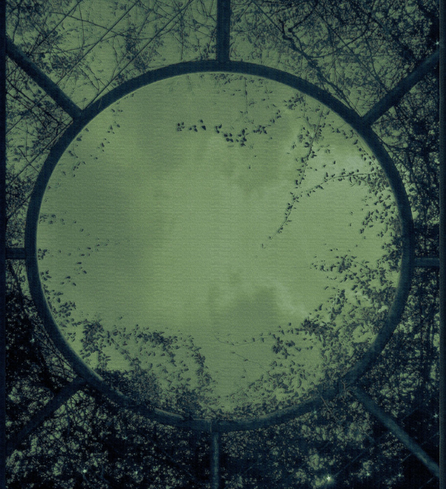 Ecological fire retardant wallpaper RUBY TUESDAY Contemporary Wallpaper ...