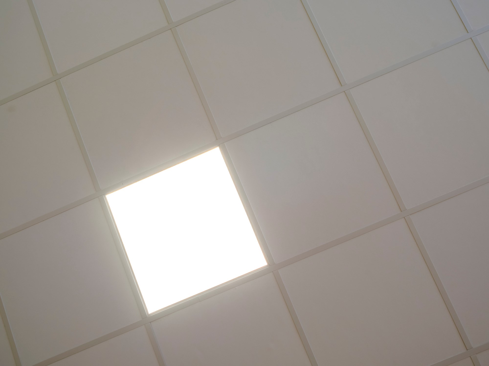 Acoustic fireproof ceiling panels Rockfon® System T24 A By Rockfon