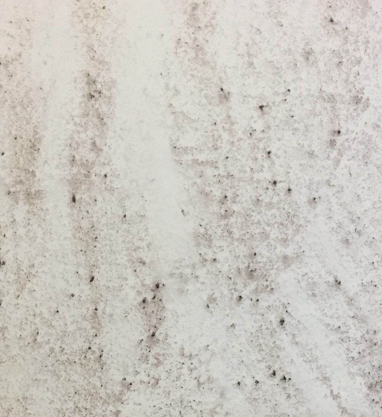 SANDTEX ANTIQUA Hydraulic and hydrated lime based plaster By Sandtex