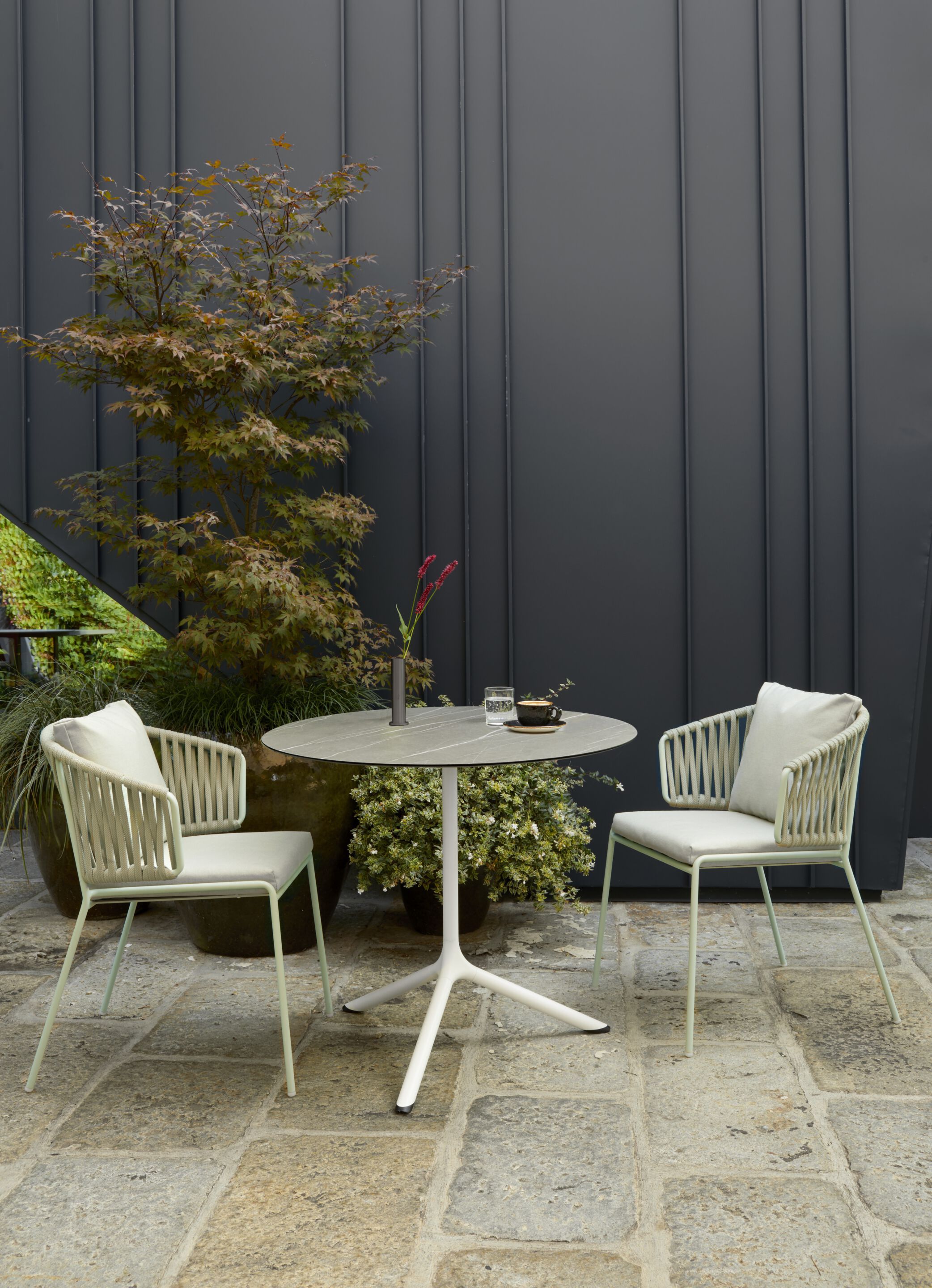 LISA Chair By SCAB DESIGN | design Marcello Ziliani