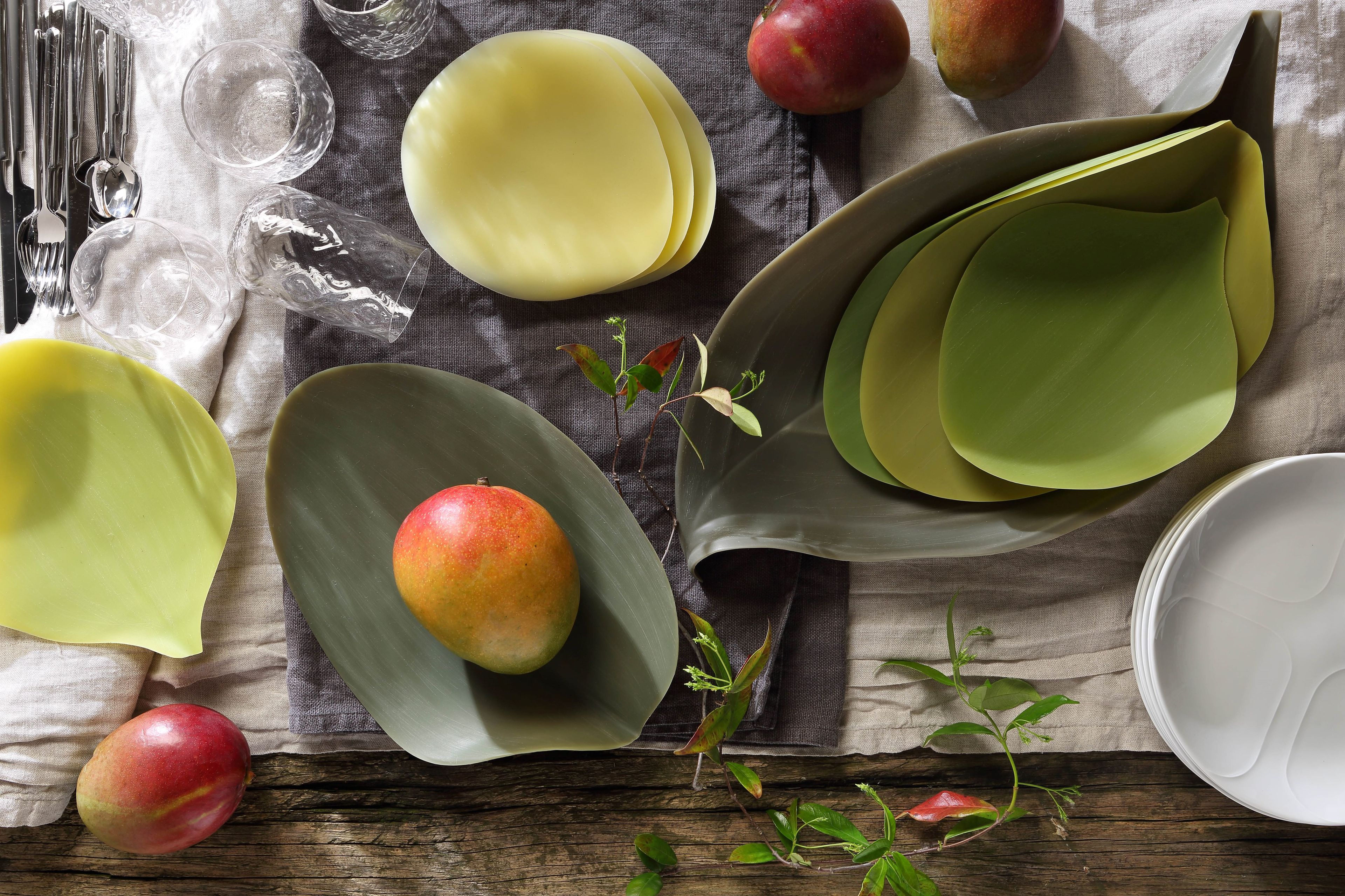 SEASONS Plate By COVO | design Nao Tamura