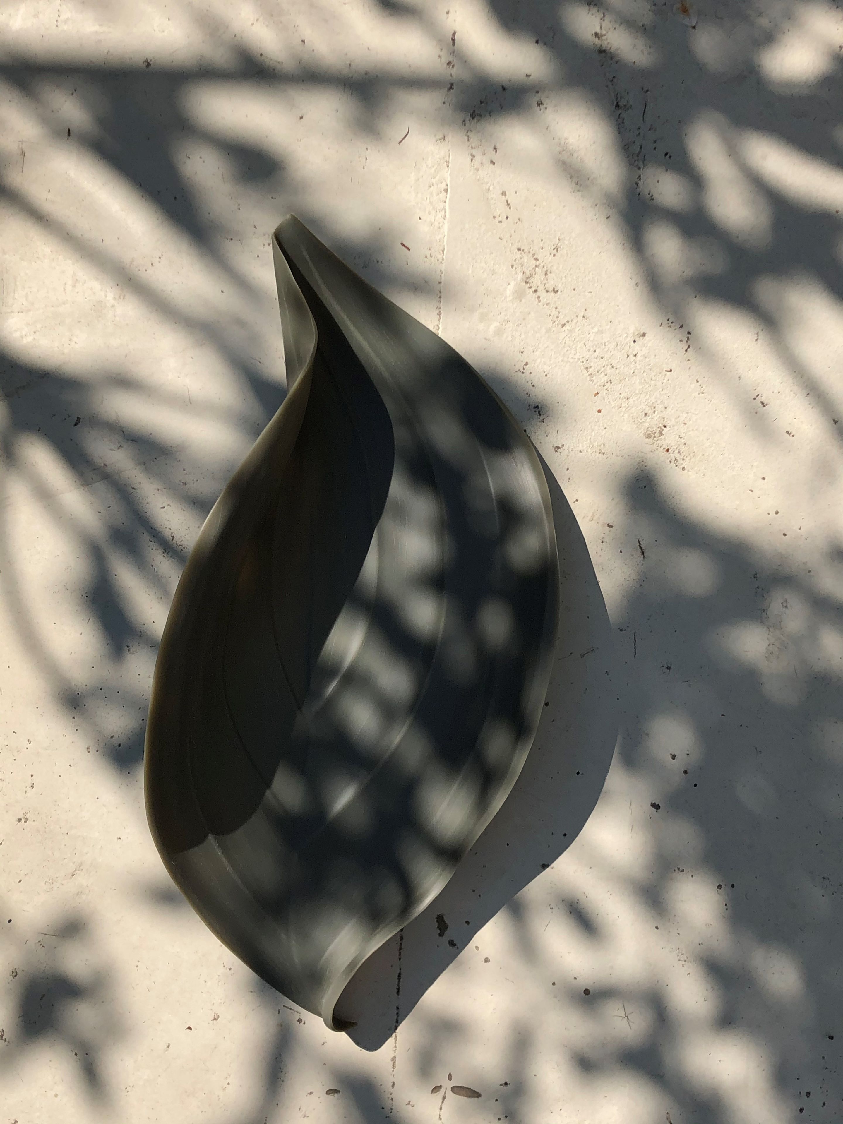 SEASONS Plate By COVO | design Nao Tamura