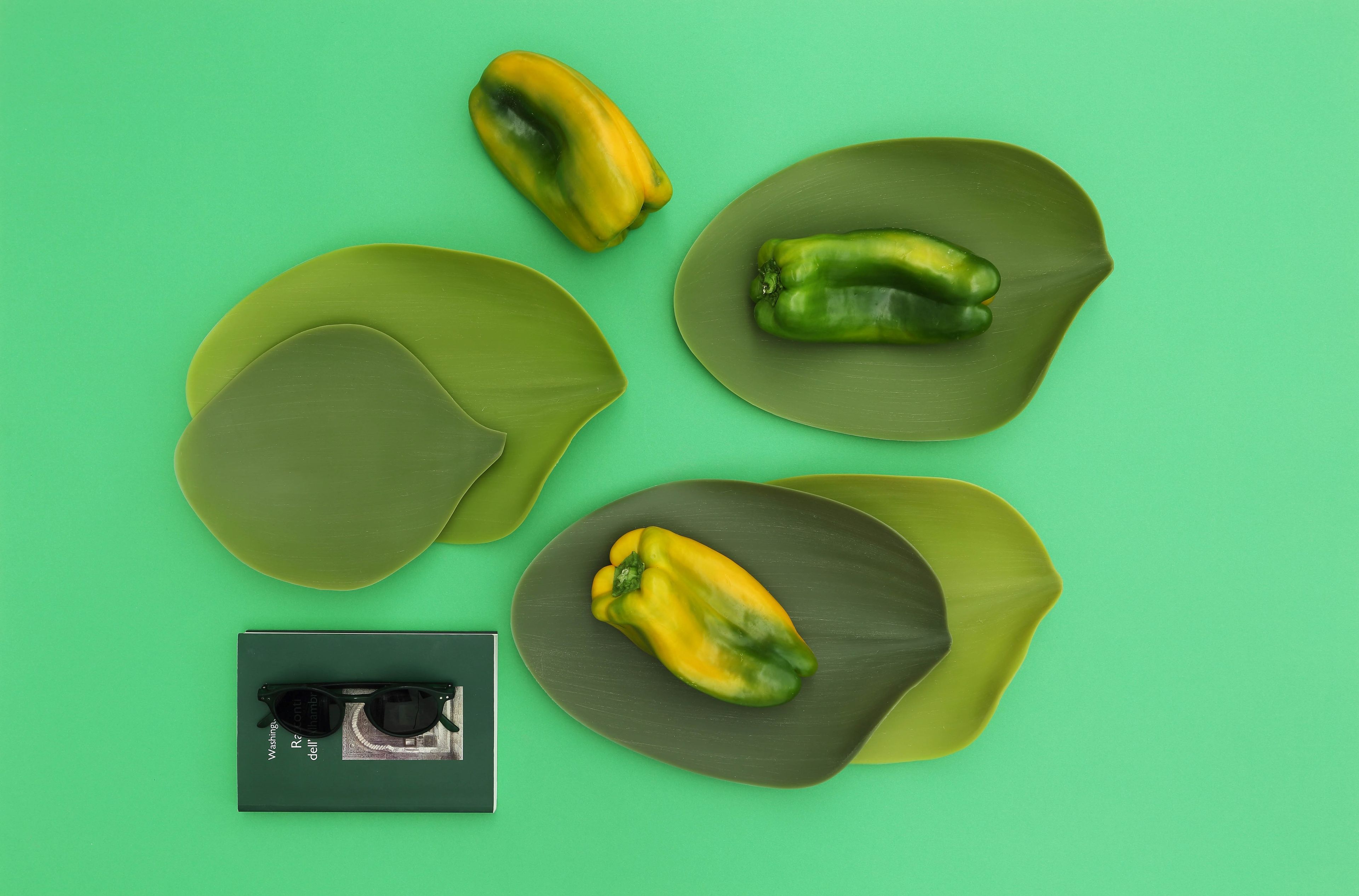 SEASONS Plate By COVO | design Nao Tamura