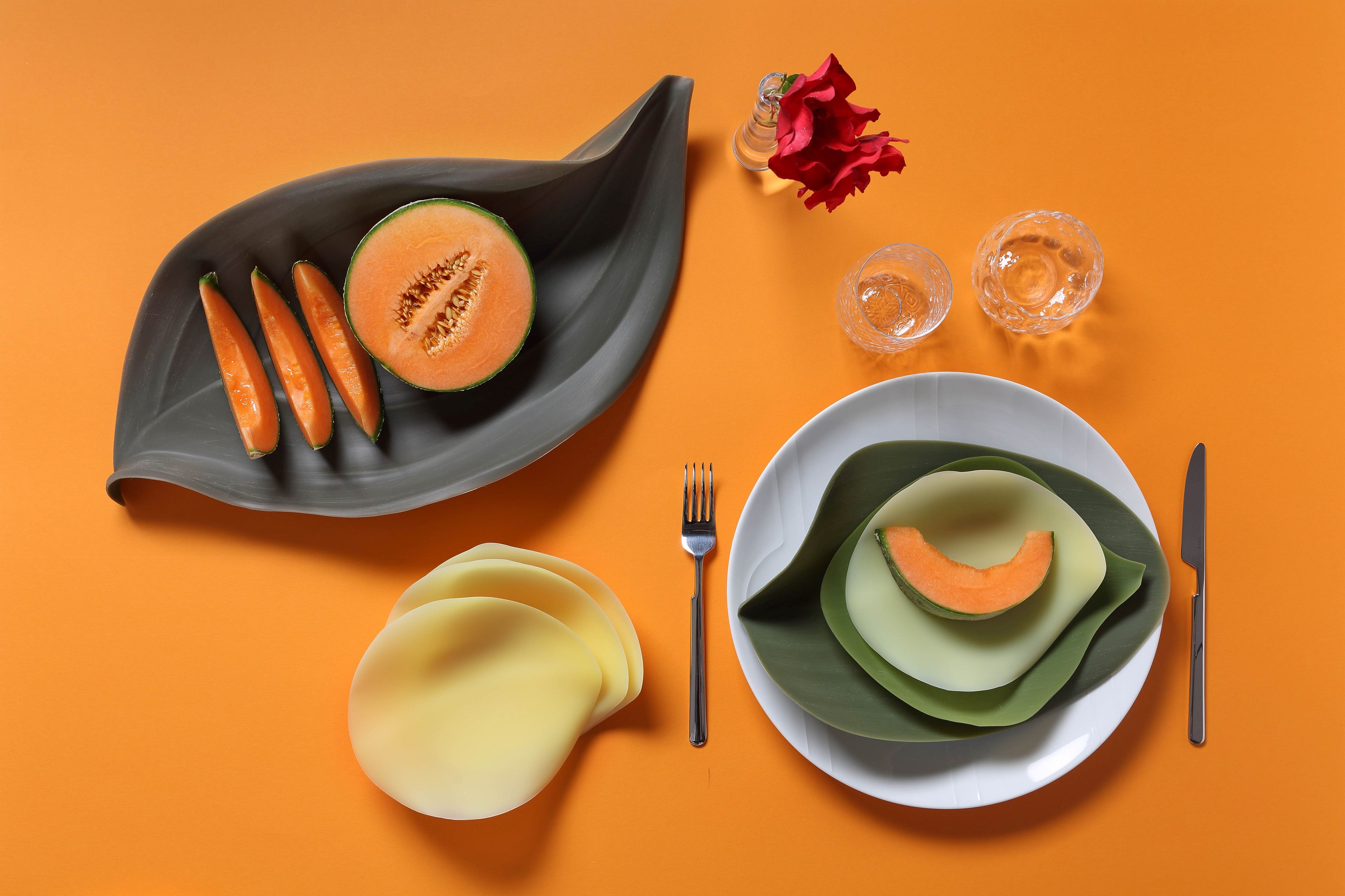SEASONS Plate By COVO | design Nao Tamura