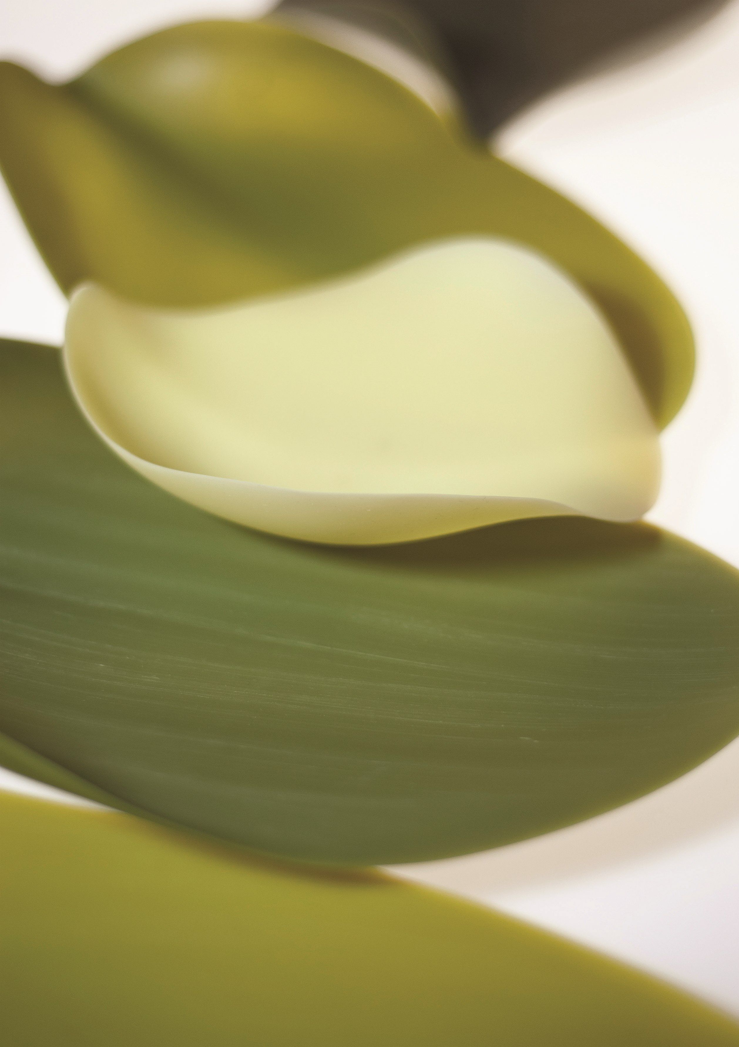 SEASONS Plate By COVO | design Nao Tamura