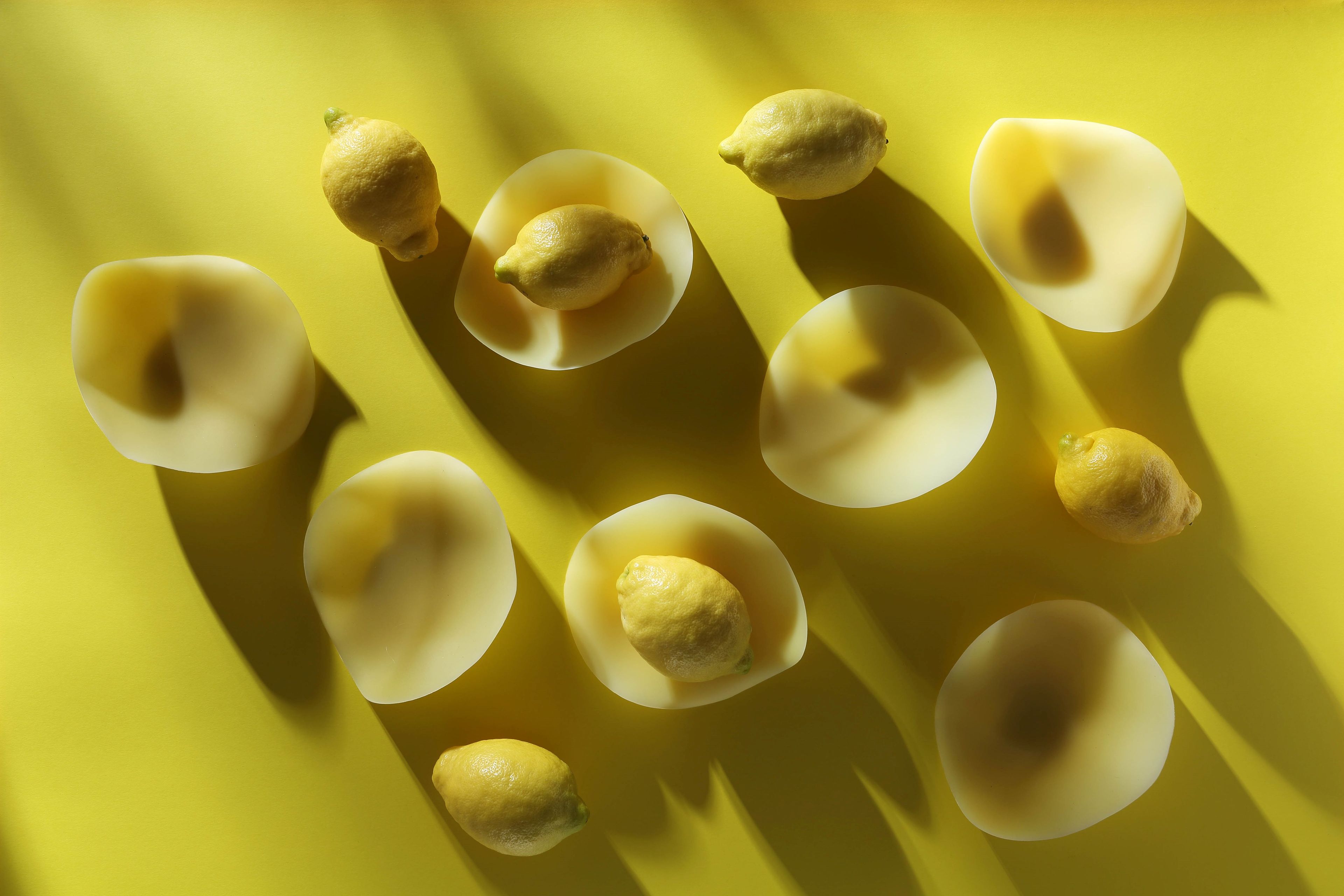 SEASONS Plate By COVO | design Nao Tamura