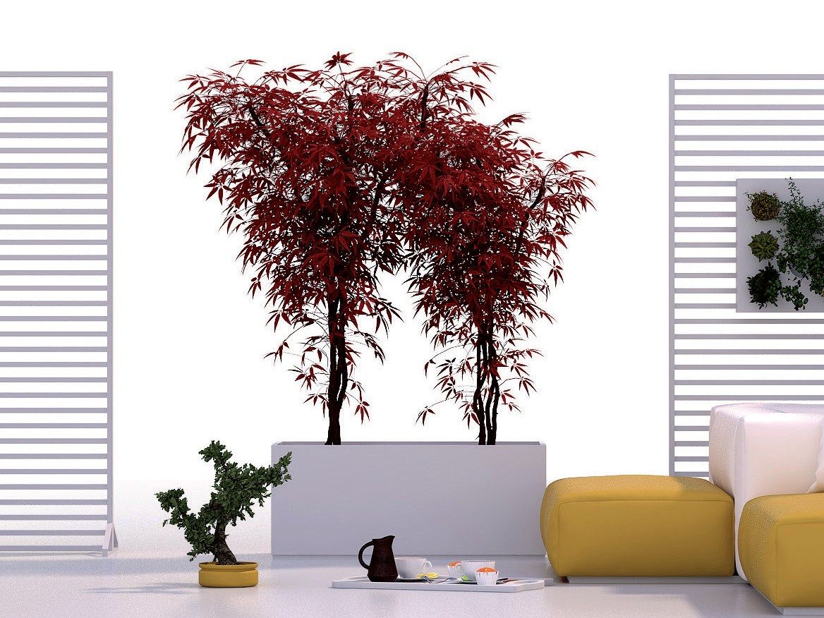 SHAPE 花盆 By UNOSIDER