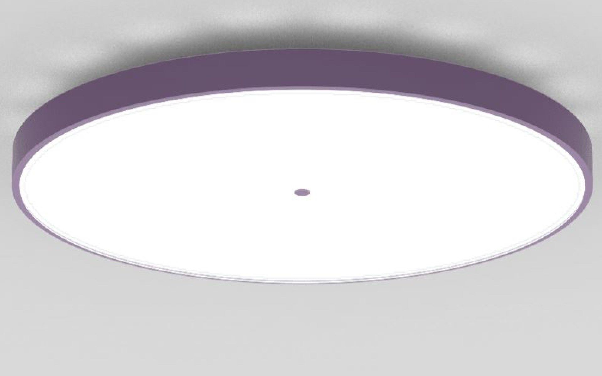 SIGN DIVA SURFACE Wall lamp / ceiling lamp By PROLICHT