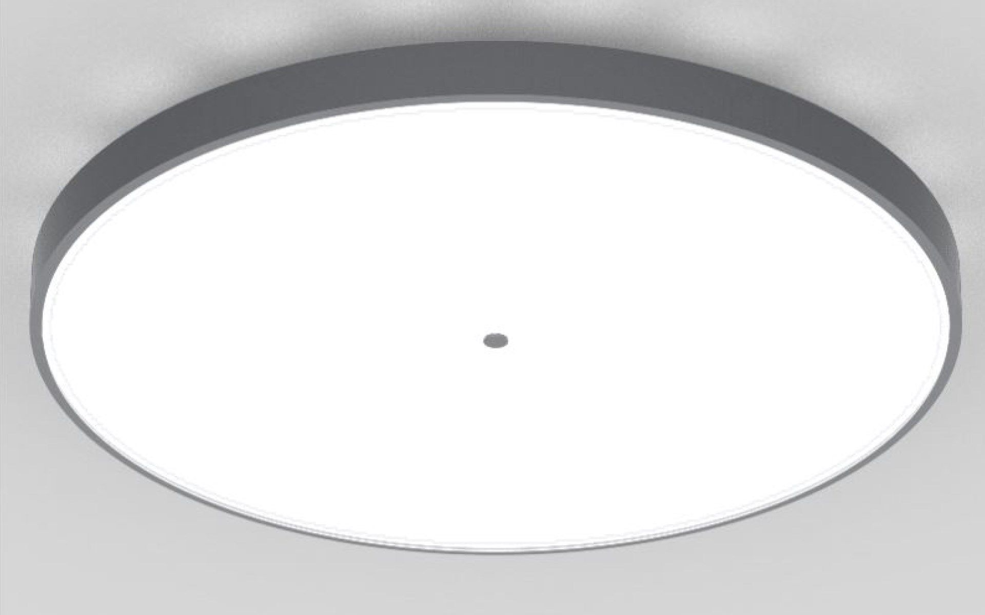 SIGN DIVA SURFACE Wall lamp / ceiling lamp By PROLICHT