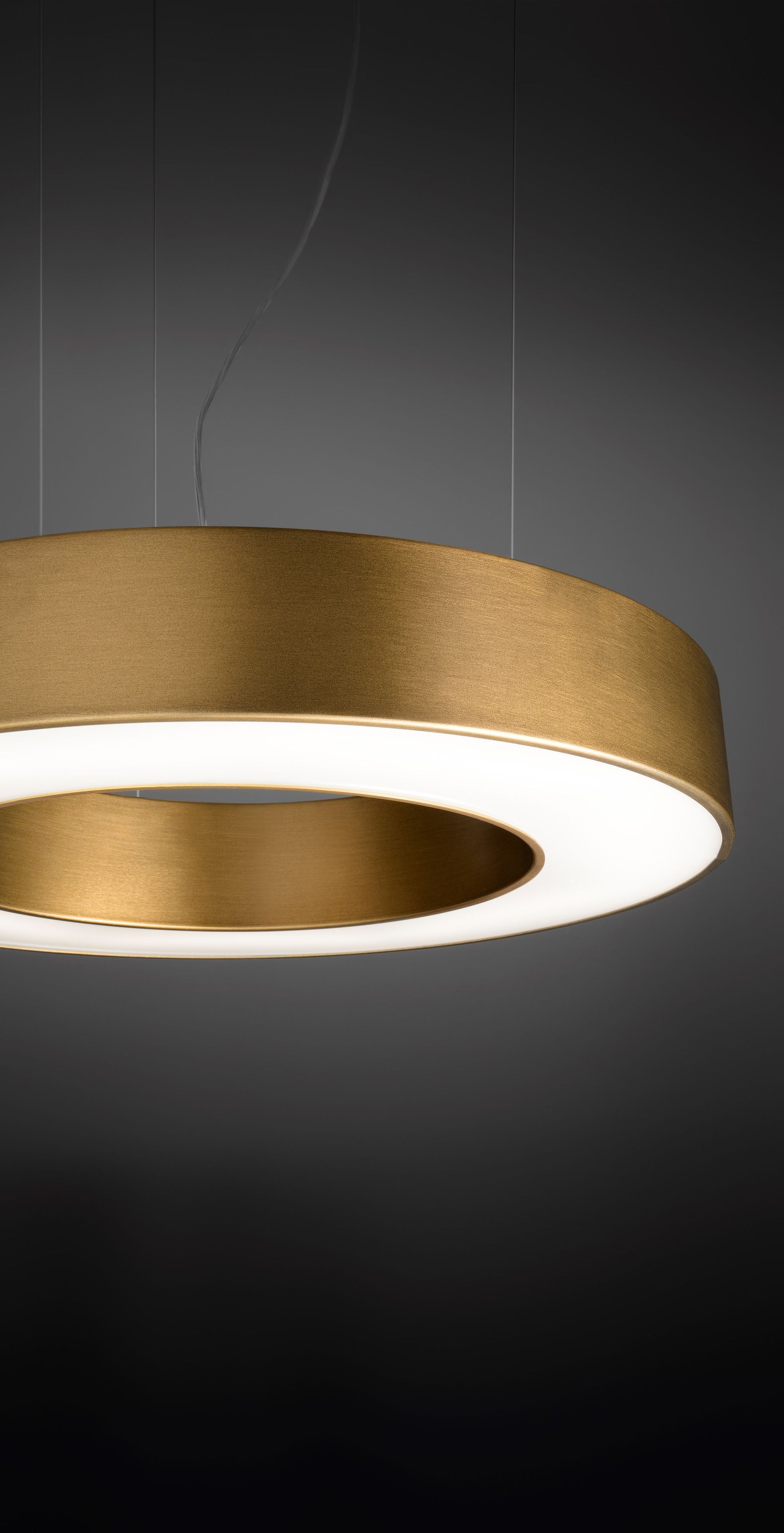 SILVER RING | Pendant lamp Silver Ring Collection By PANZERI
