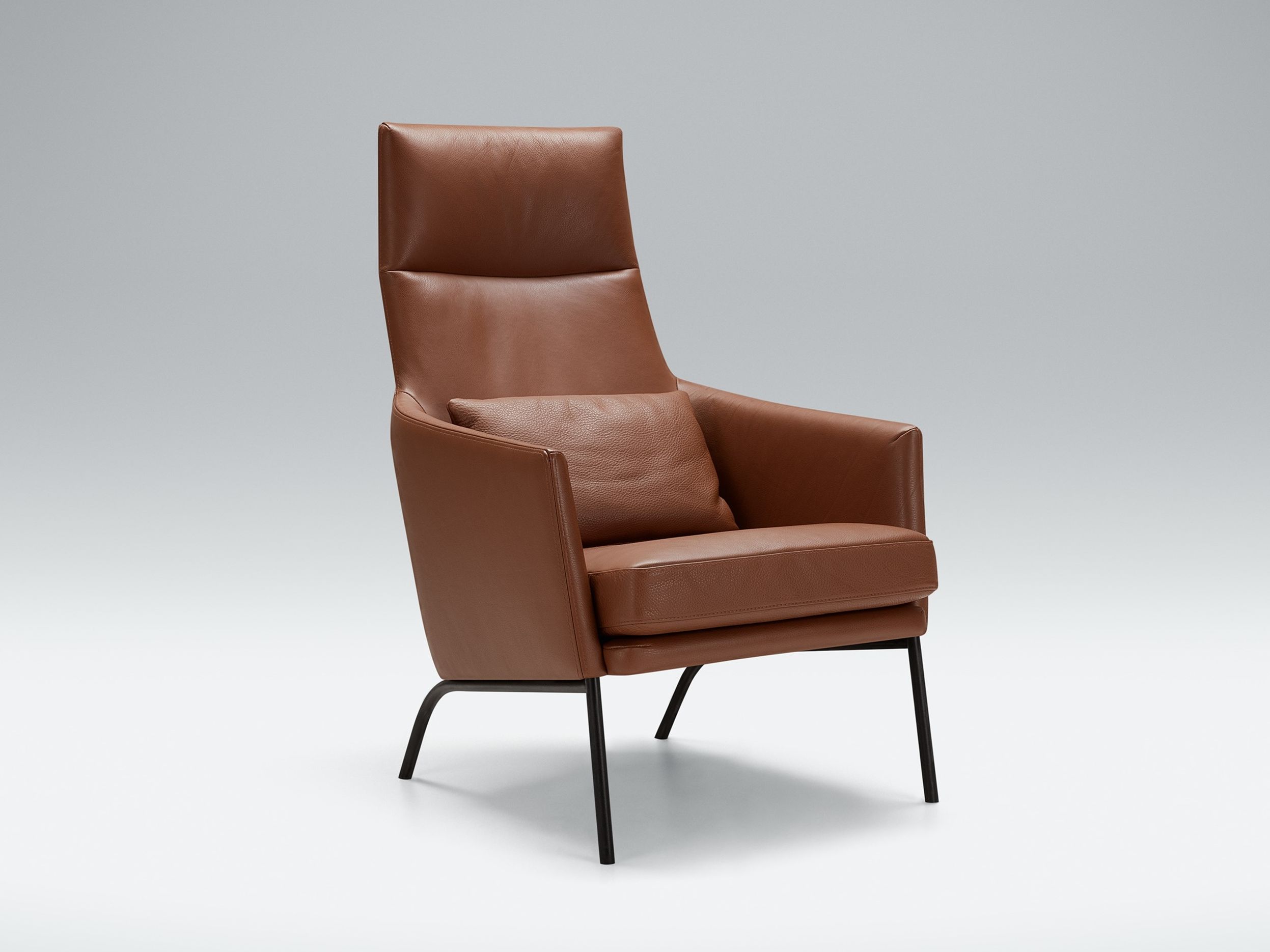SIRI | Leather armchair By Sits