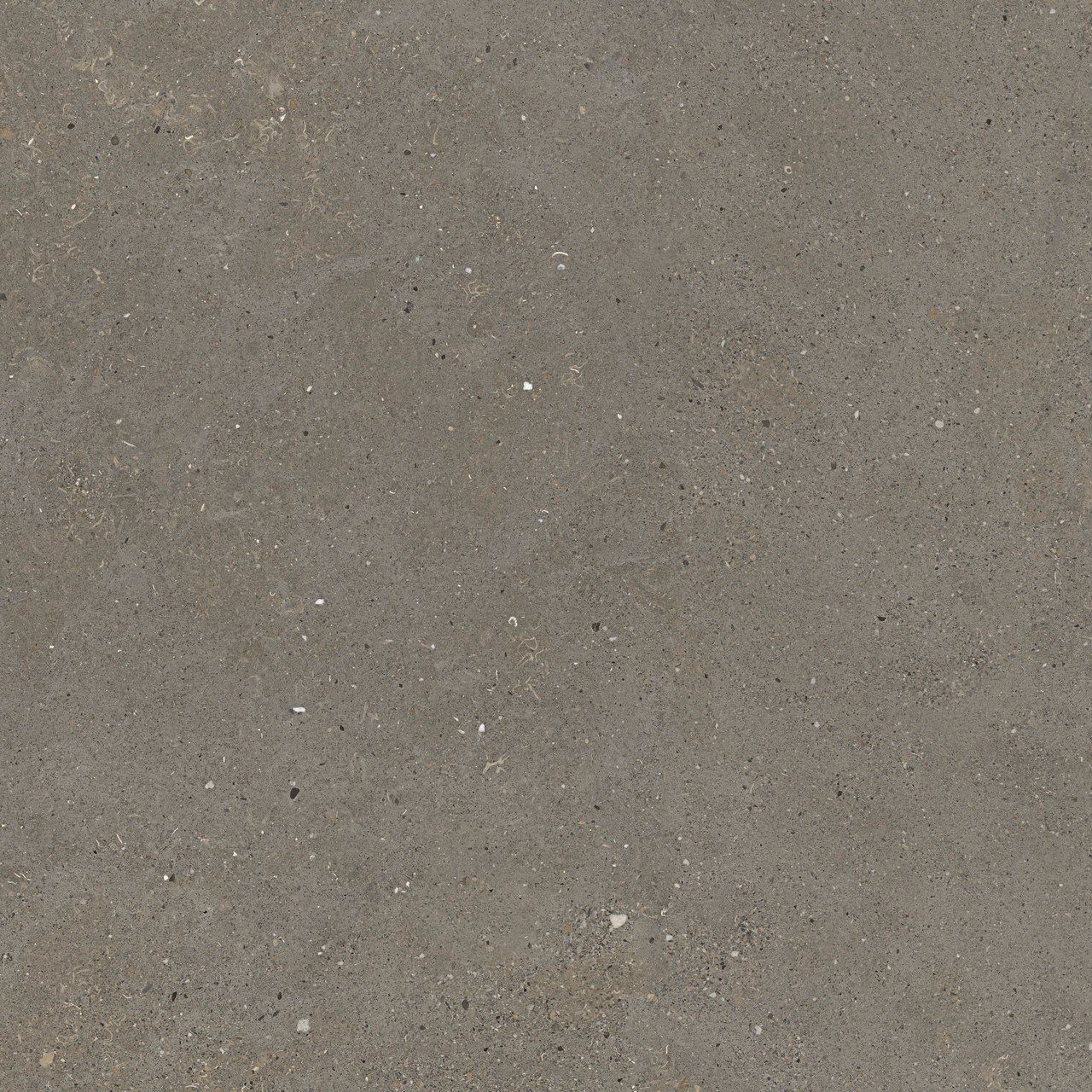SOLIDA GREY Porcelain stoneware wall/floor tiles with stone effect By ...