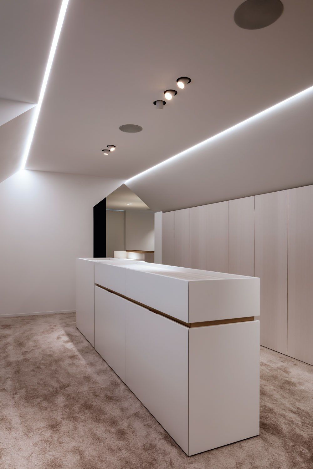 SPY 52 TRIMLESS LED adjustable round spotlight By Delta Light