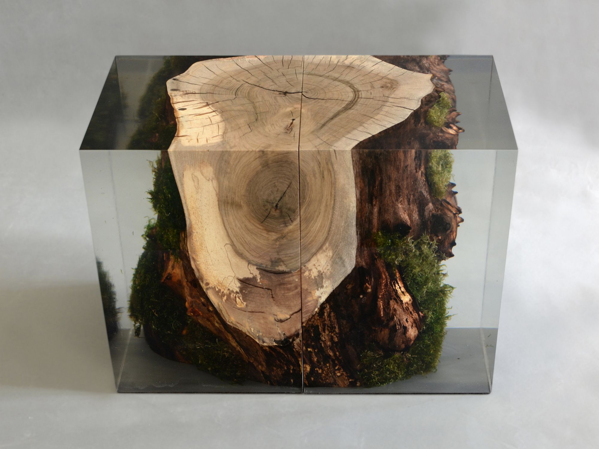 STUMP WALNUT Stool / coffee table By Alcarol | design Andrea Forti ...