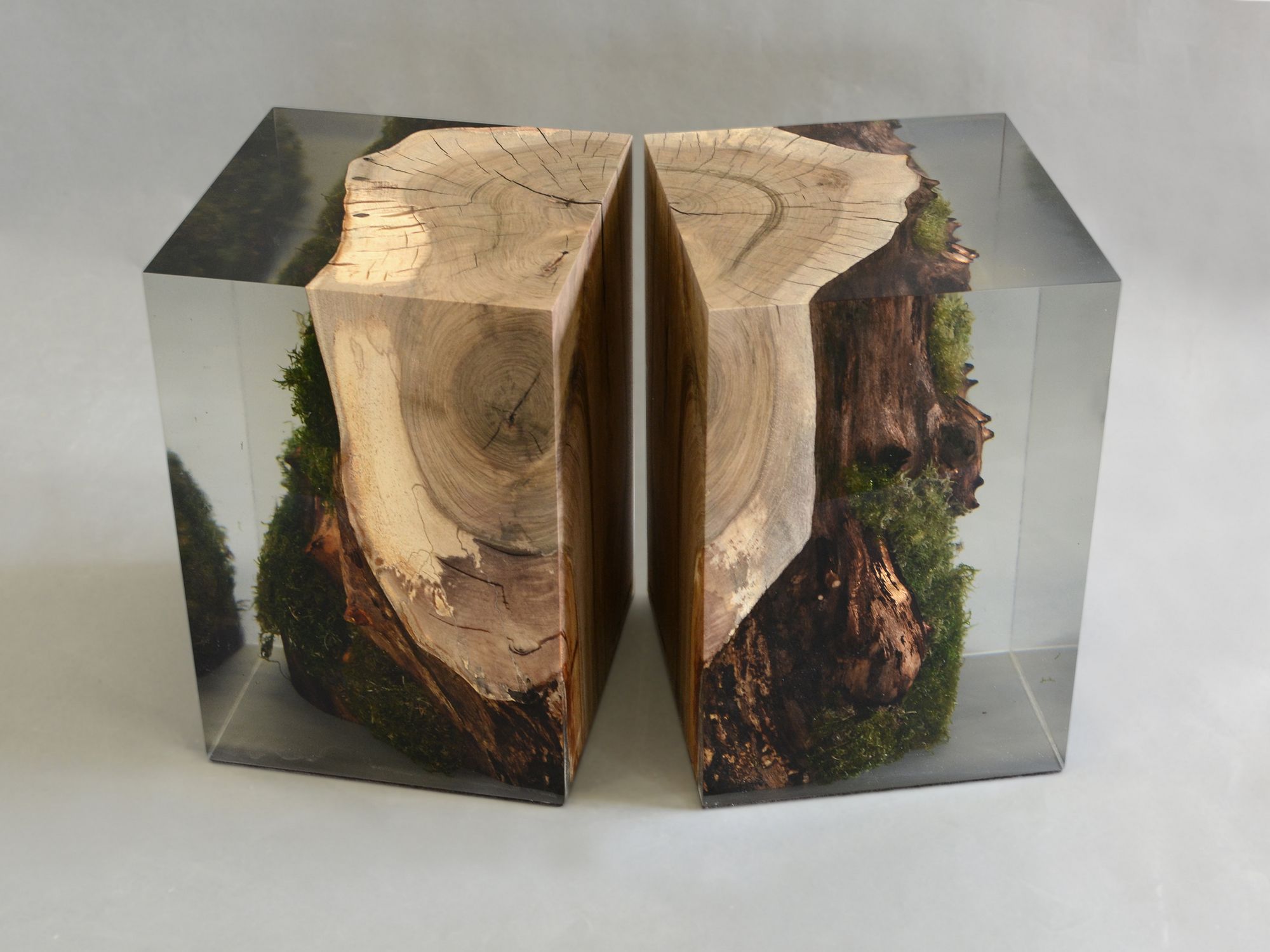 STUMP WALNUT Stool / coffee table By Alcarol | design Andrea Forti ...