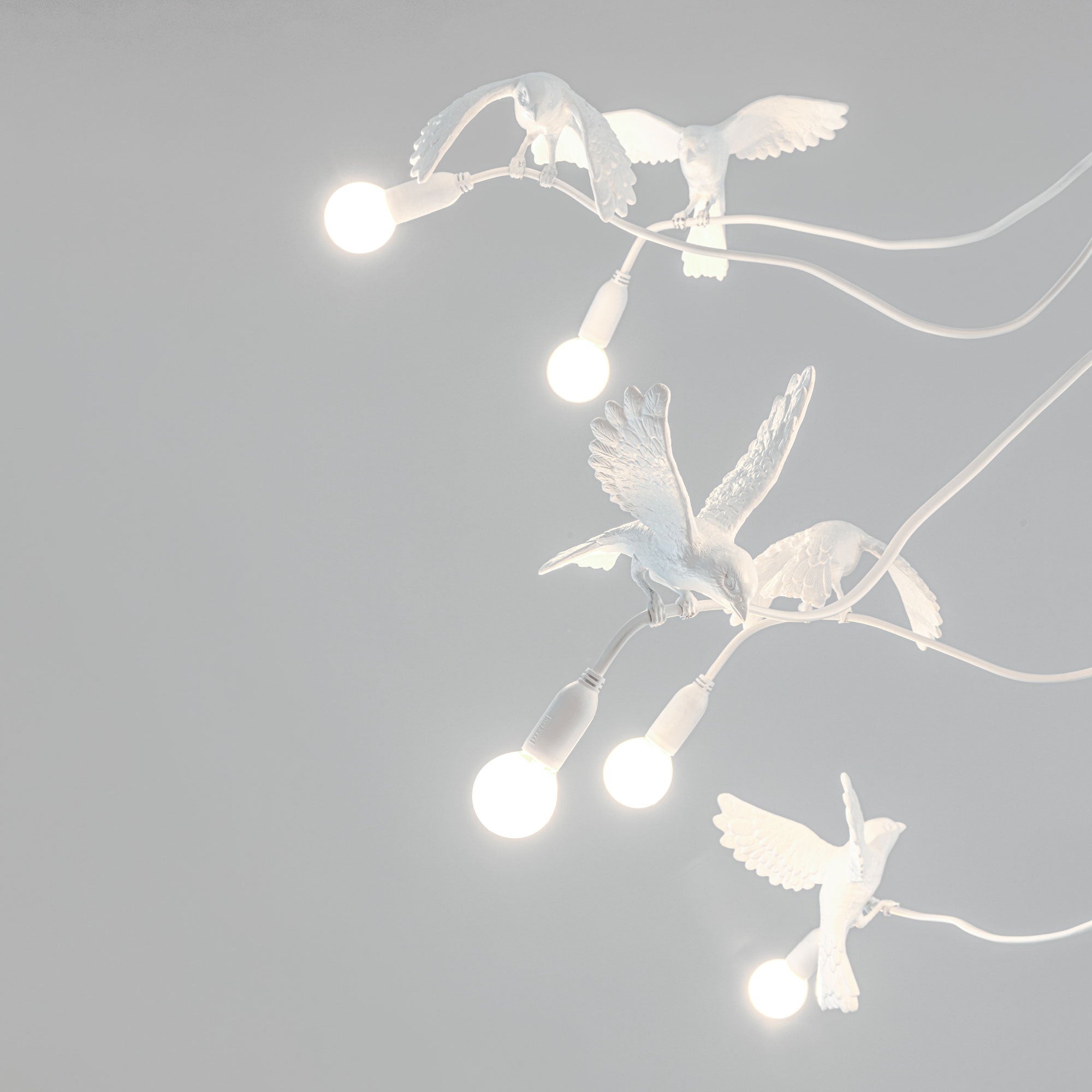 SPARROW CHANDELIER 吊灯 By Seletti | design Marcantonio