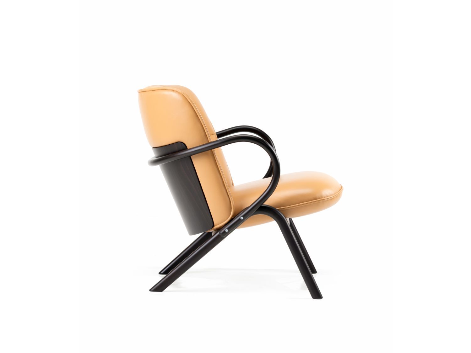 CISSY Easy chair By TON