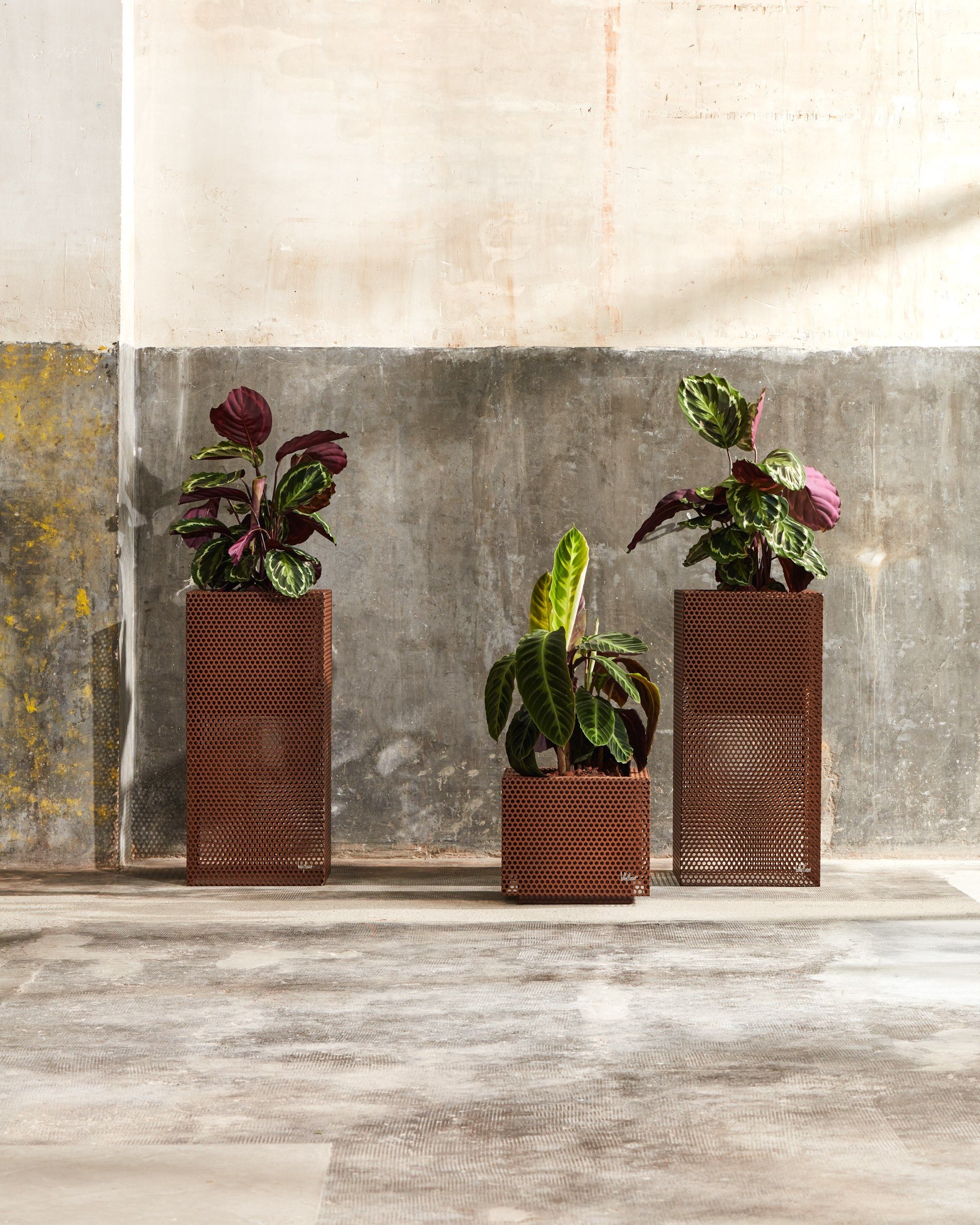 TOP | Low plant pot Low stainless steel plant pot with automatic ...