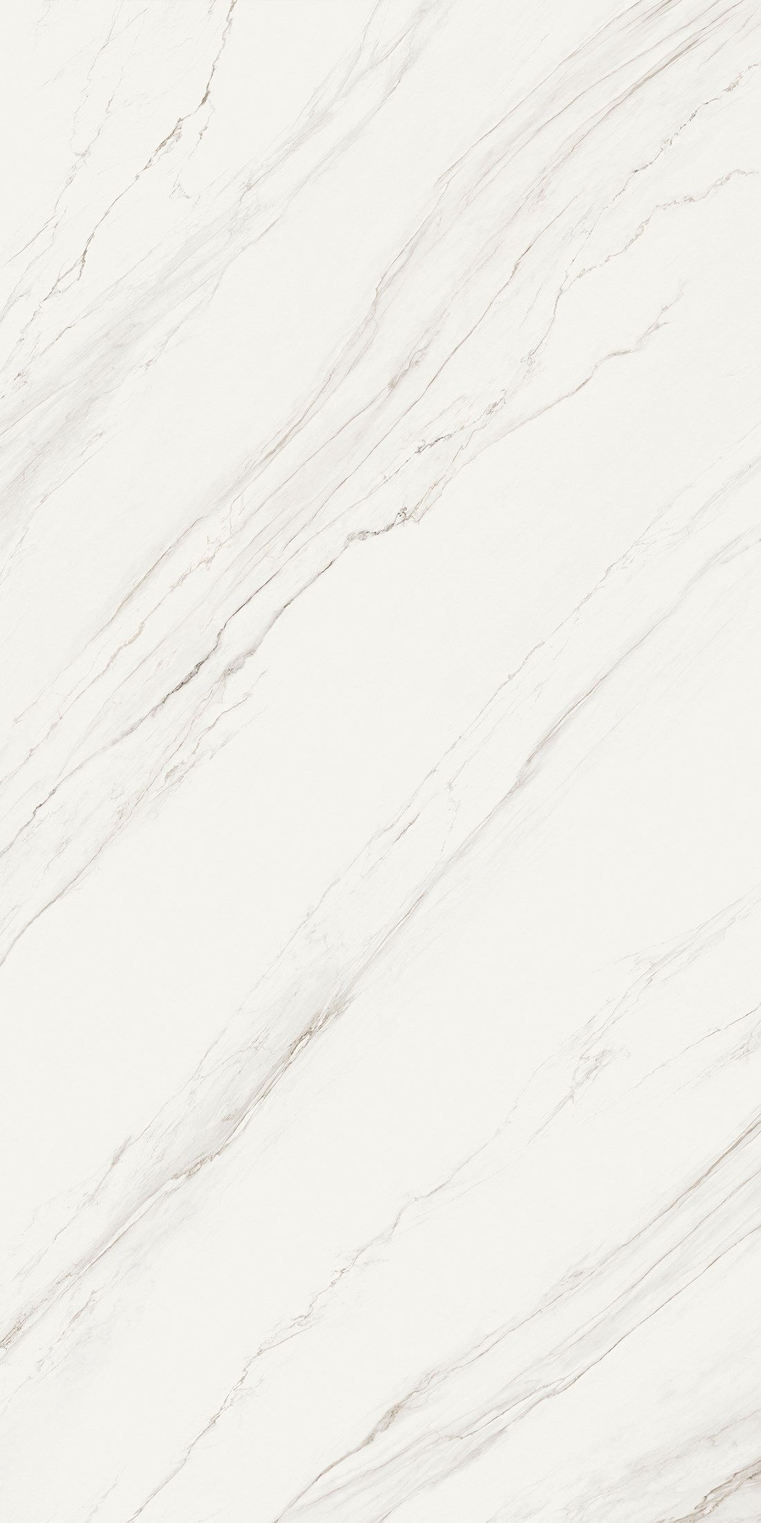 TOUCHÉ MDi By Inalco