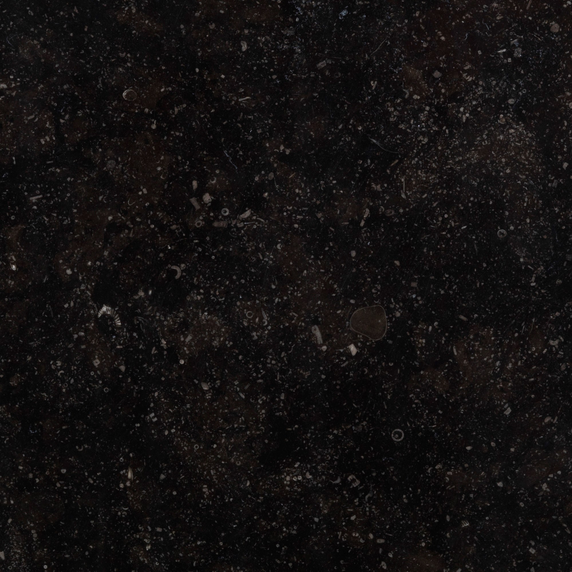 Marble 3D Wall Cladding TROPICO By LITHOS DESIGN design Raffaello Galiotto