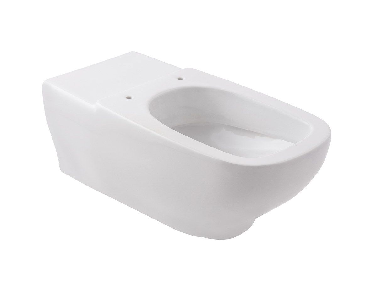 UNIKA Wall-hung Vitreous China toilet for disabled By Saniline