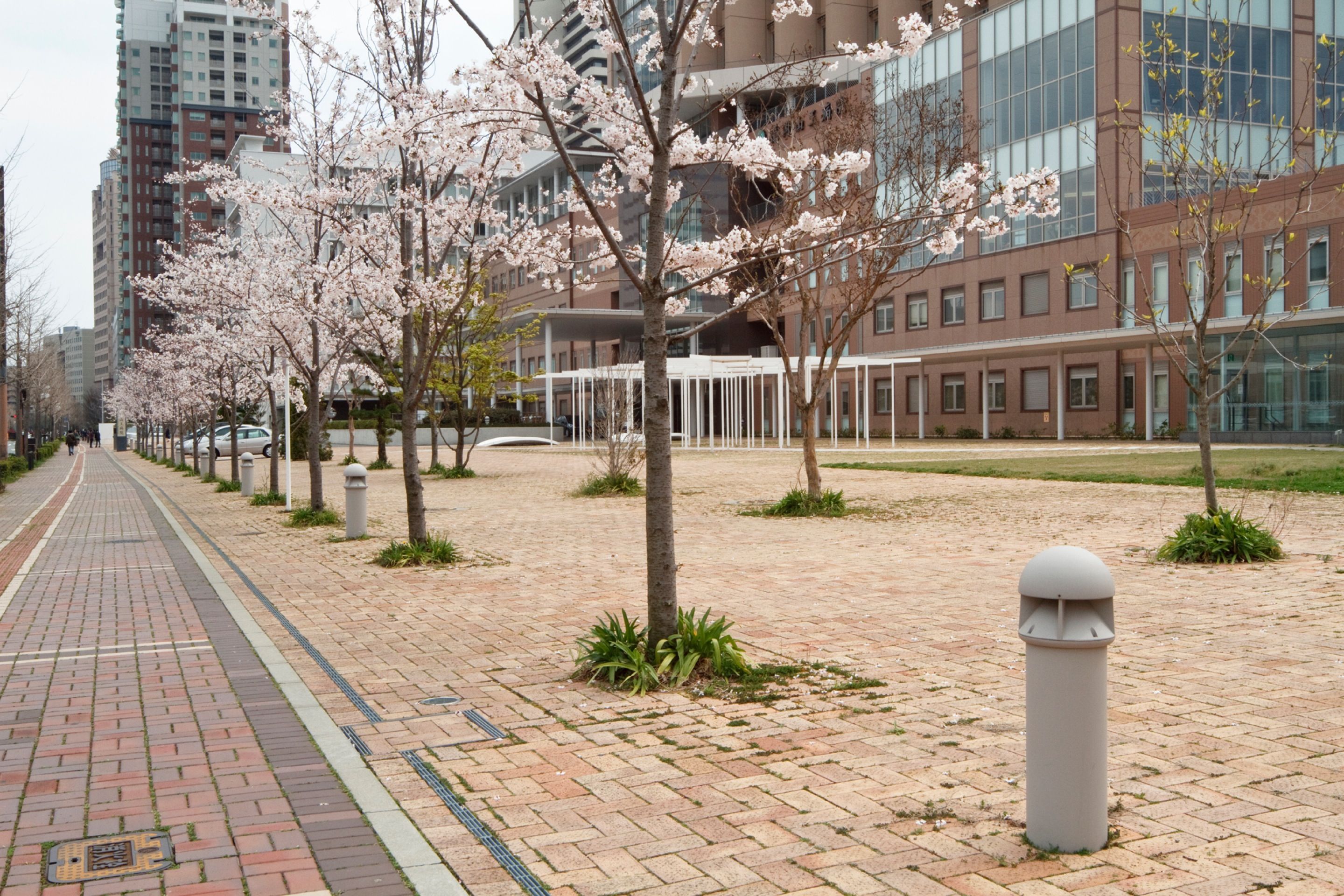 WATERFRONT bollard light By Louis Poulsen
