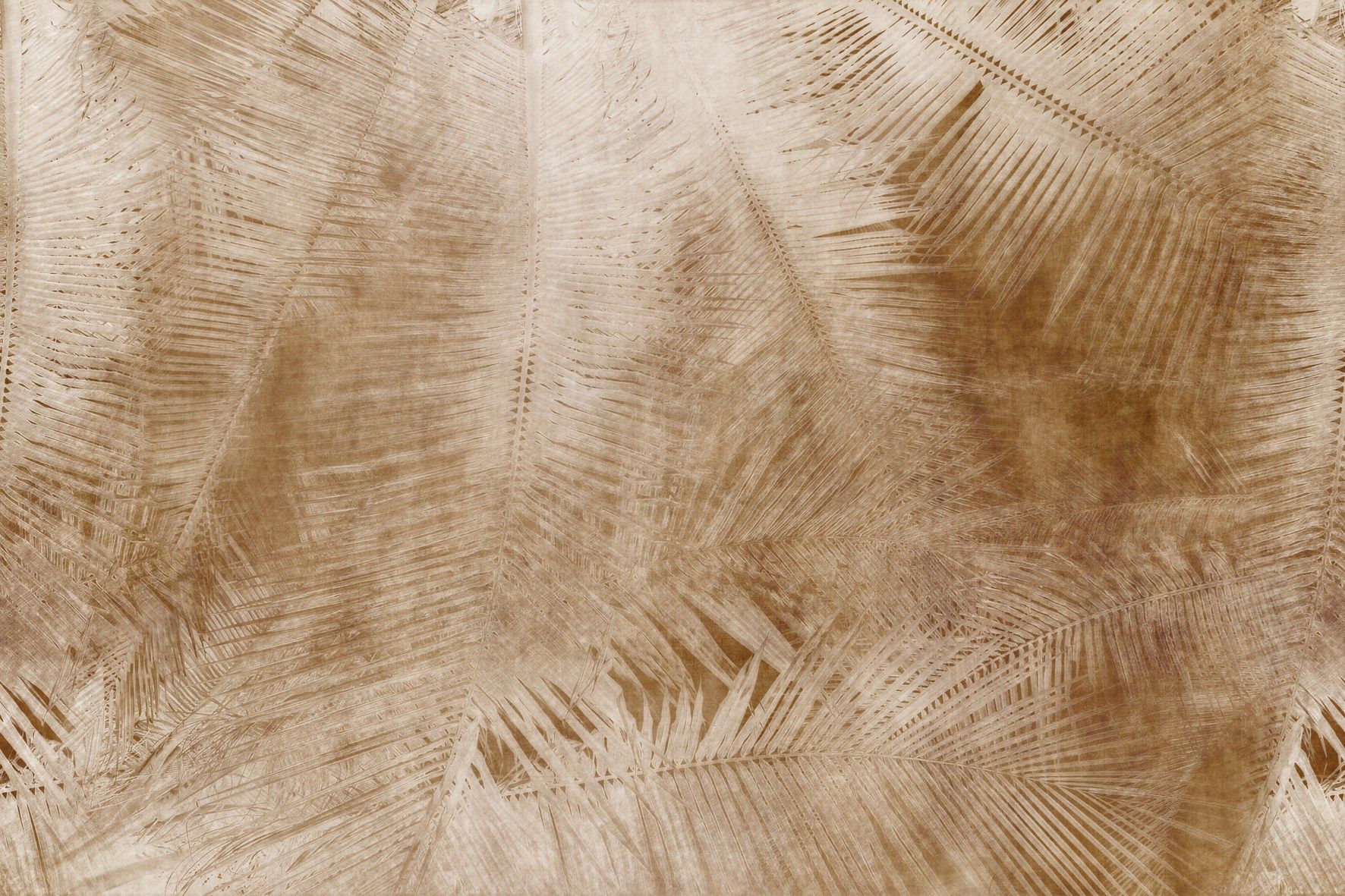 ZENITH wallpaper By GLAMORA