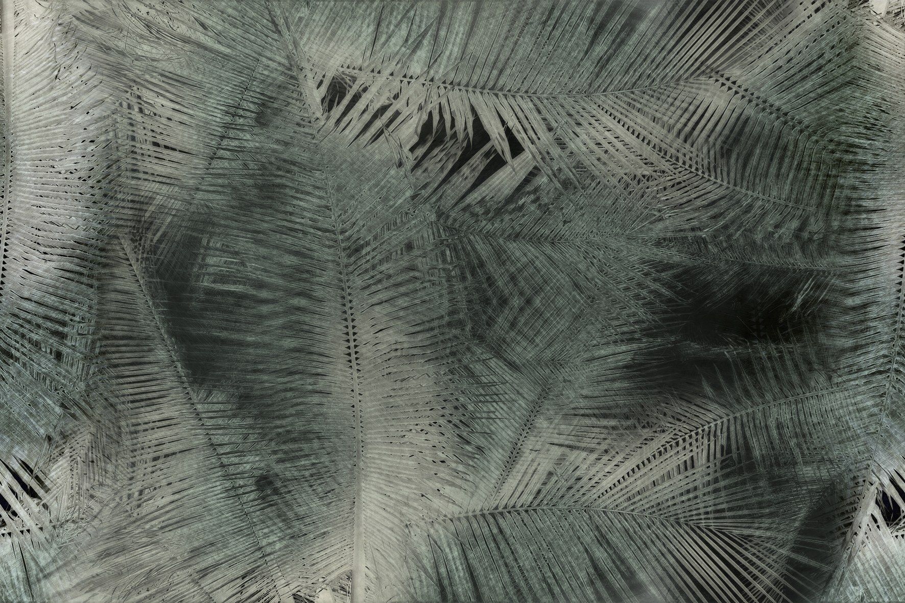 ZENITH wallpaper By GLAMORA