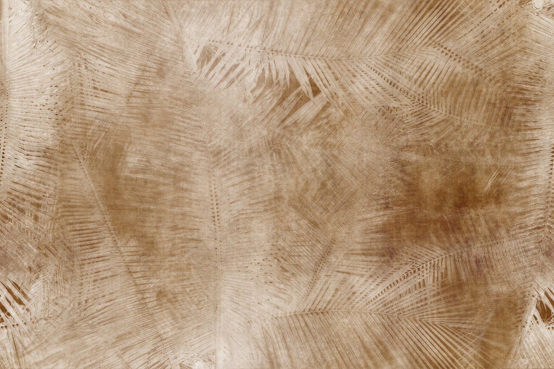 ZENITH wallpaper By GLAMORA