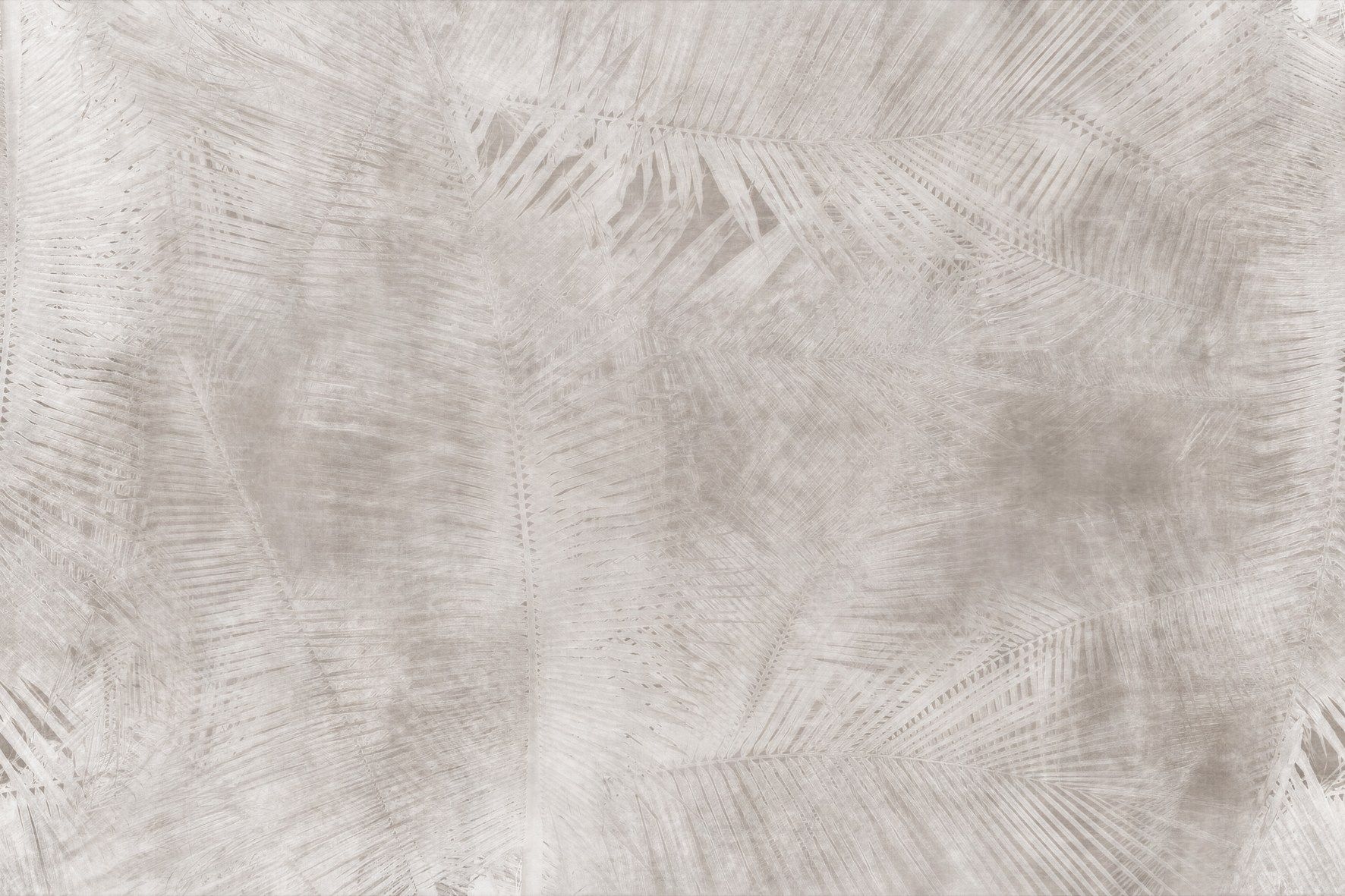 ZENITH wallpaper By GLAMORA