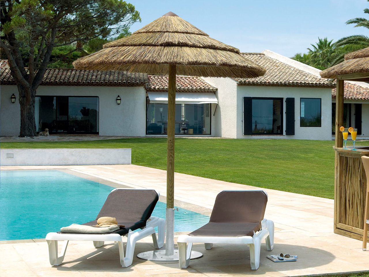 GREENER OUTDOOR REEDY Garden umbrella By AFRICA STYLE