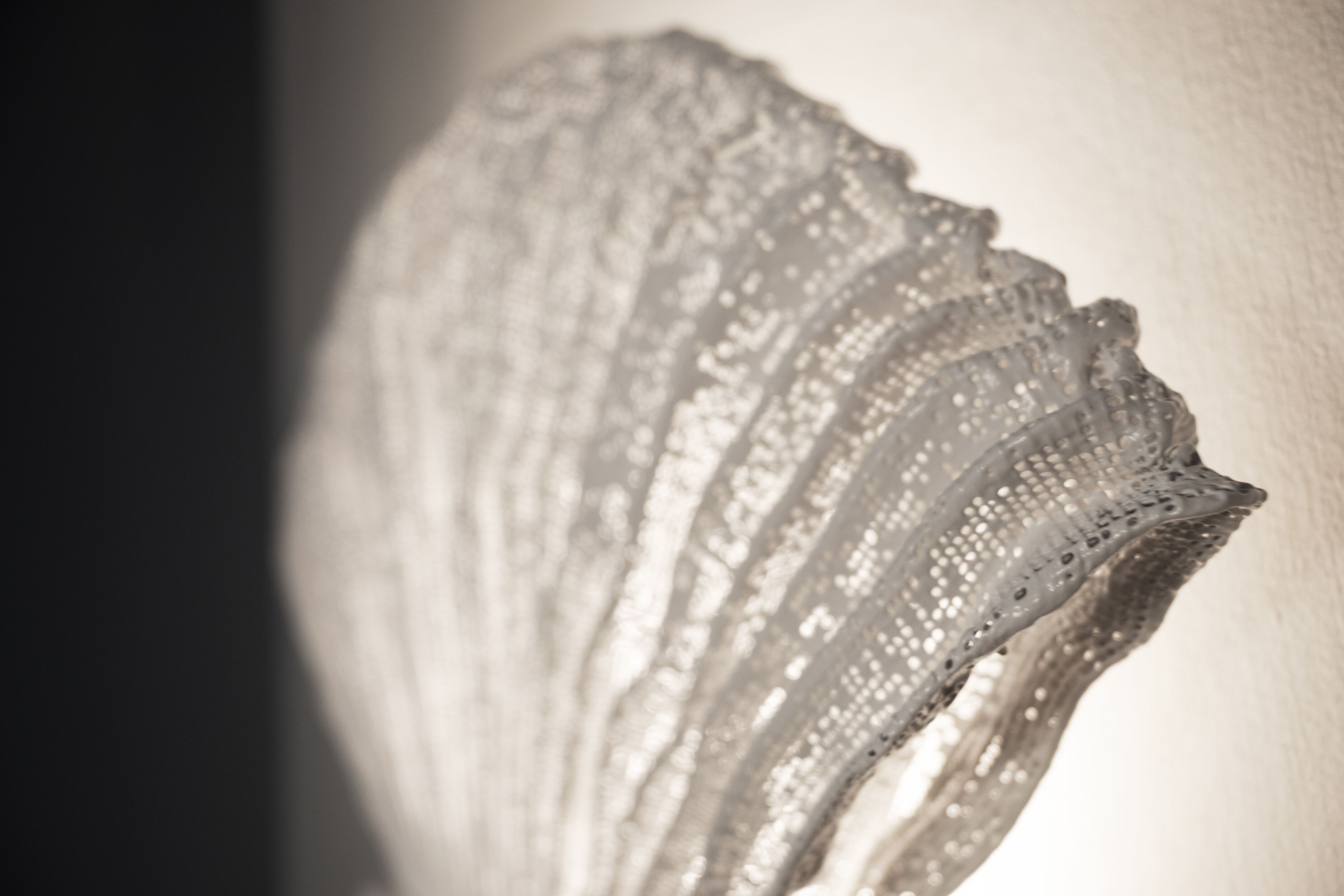 VENUS Wall lamp By A-Emotional Light