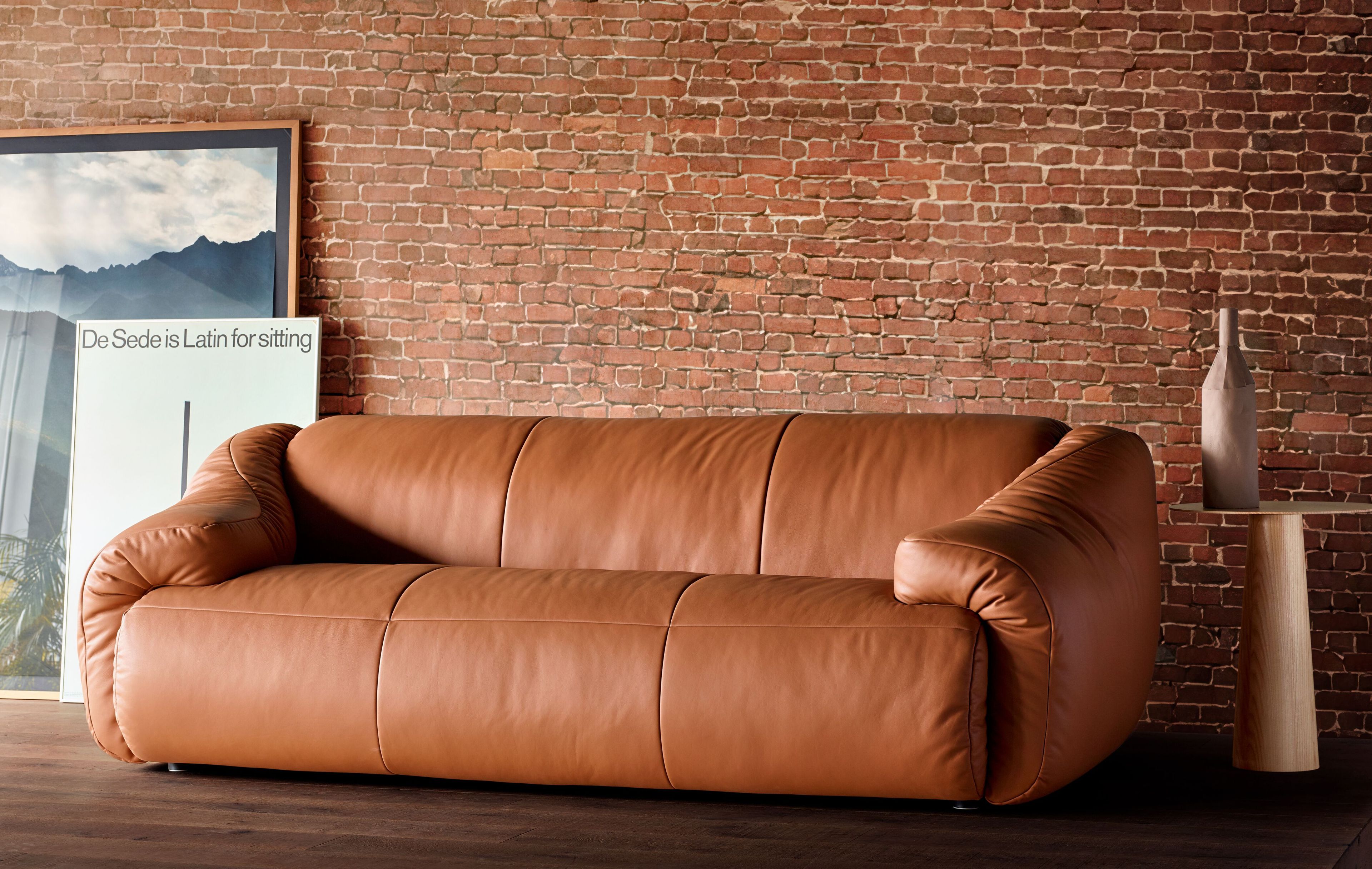 DS-705 Sofa By de Sede